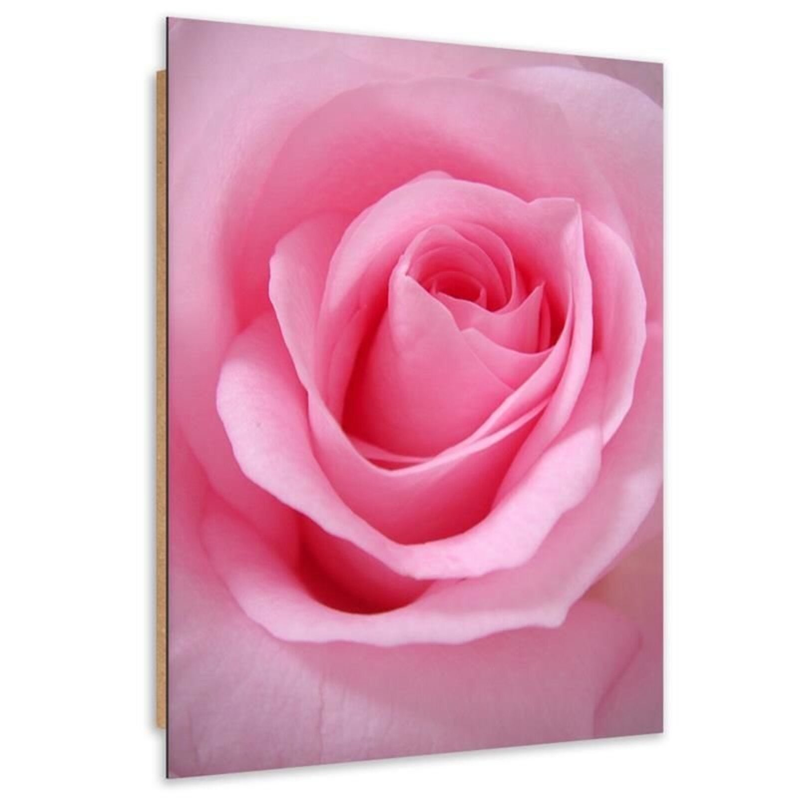 Tableau bois rose fond délicat - 40 x 50 cm | Leroy Merlin