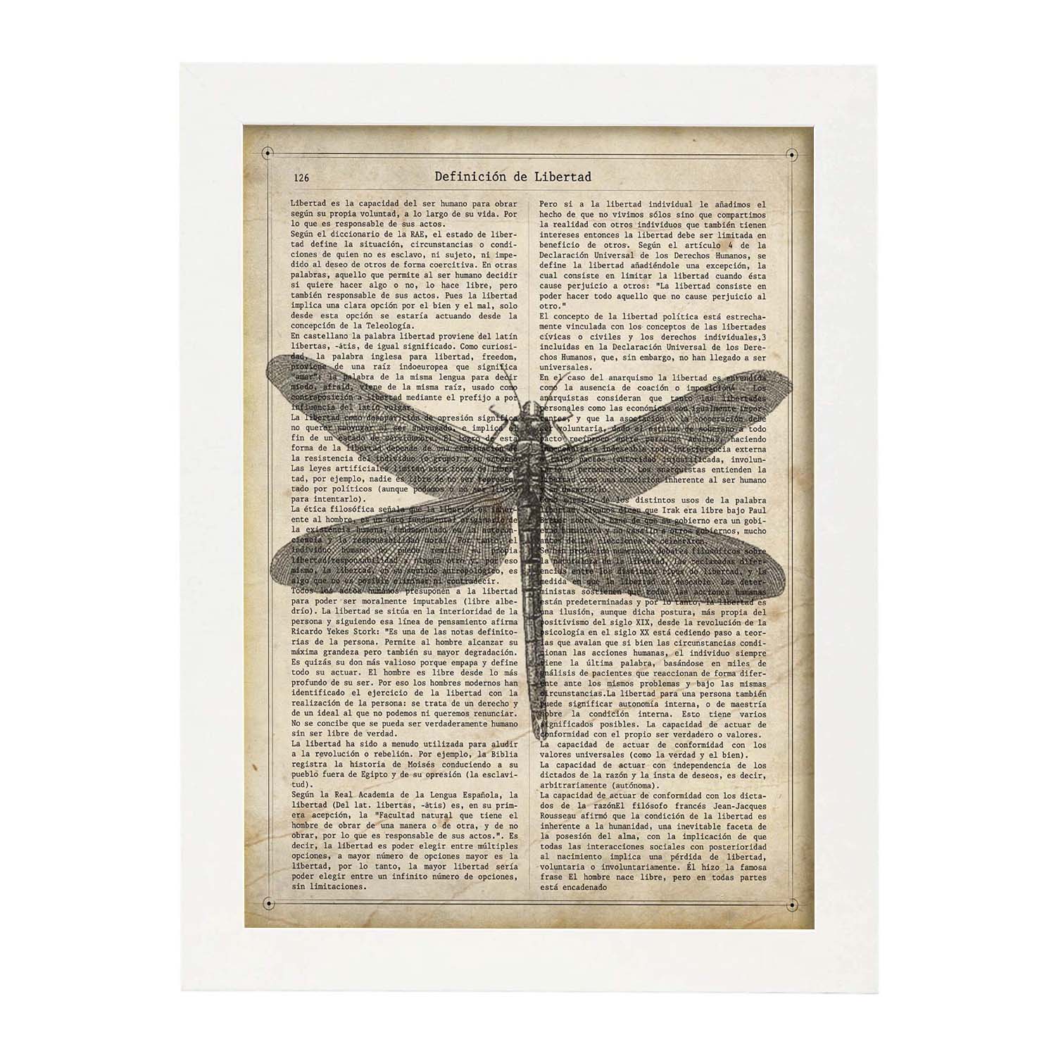 Cadre Libelula Smalinine. Lame Avec Définition Du Dictionnaire Libertad ...