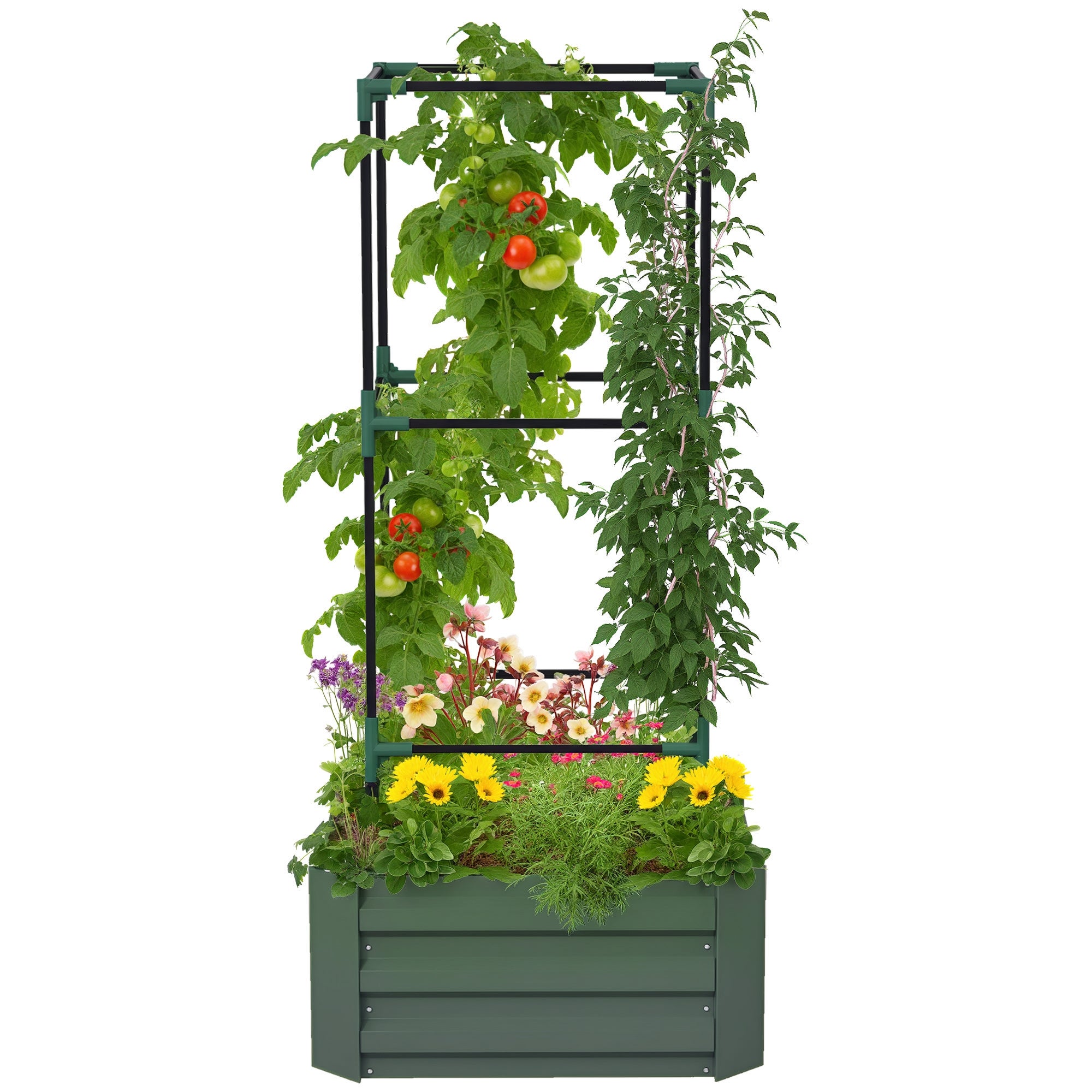 Potager surélevé avec panneaux latéraux grillagés et support grillagé ...