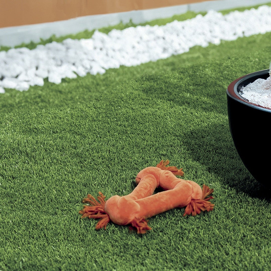 Césped artificial new piazza evolution 2x20 m 40 mm nortene | Leroy Merlin