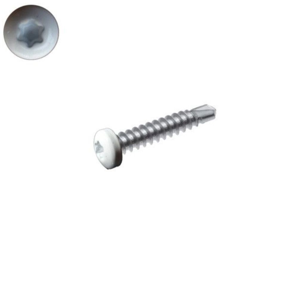 Vis autoperceuses RAL 9003 blanc sécurité 4,8x32 mm tête cylindrique Tx ...