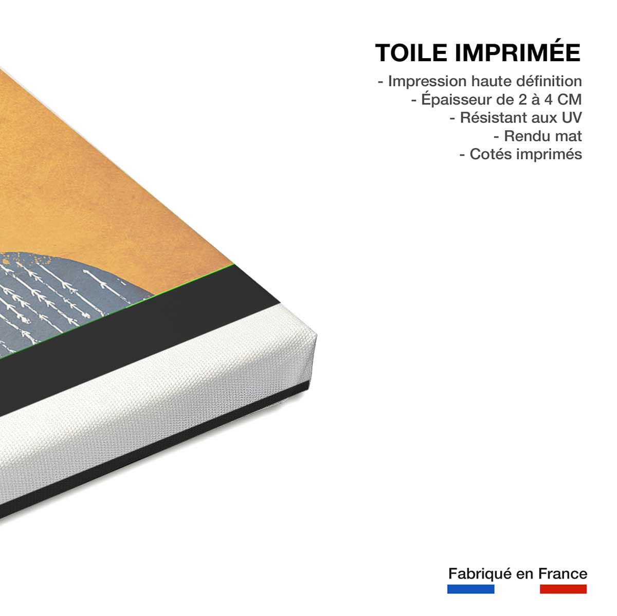 Tableau art frida kalho et sa couronne - 40x60cm | Leroy Merlin