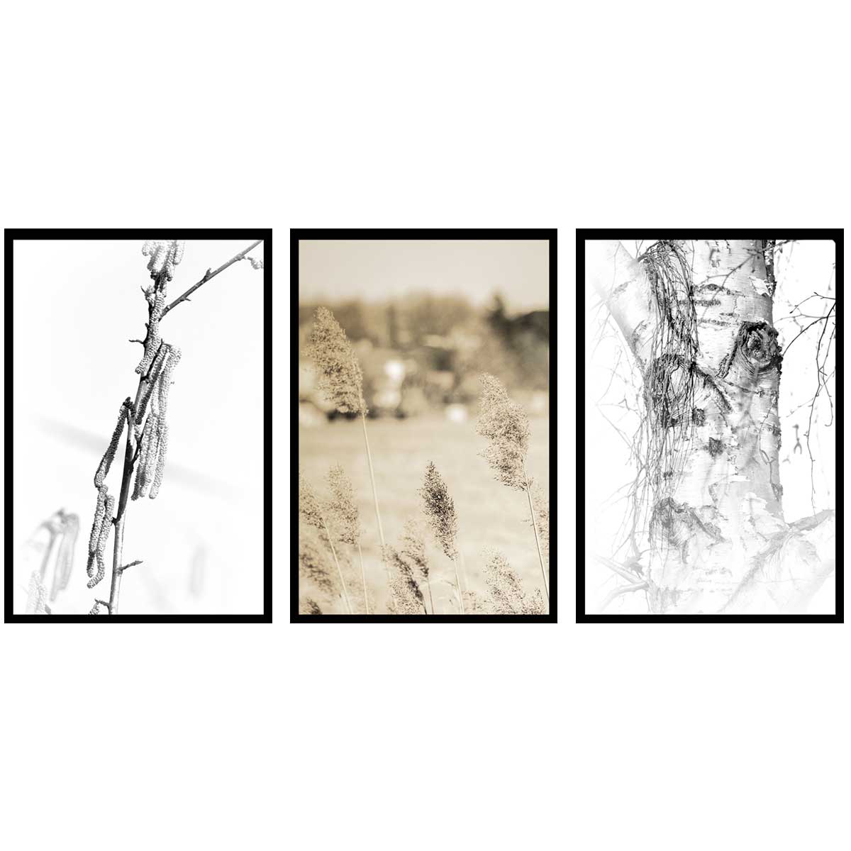 Naturel Trio, Set de 3 posters muraux - 90x45cm | Leroy Merlin