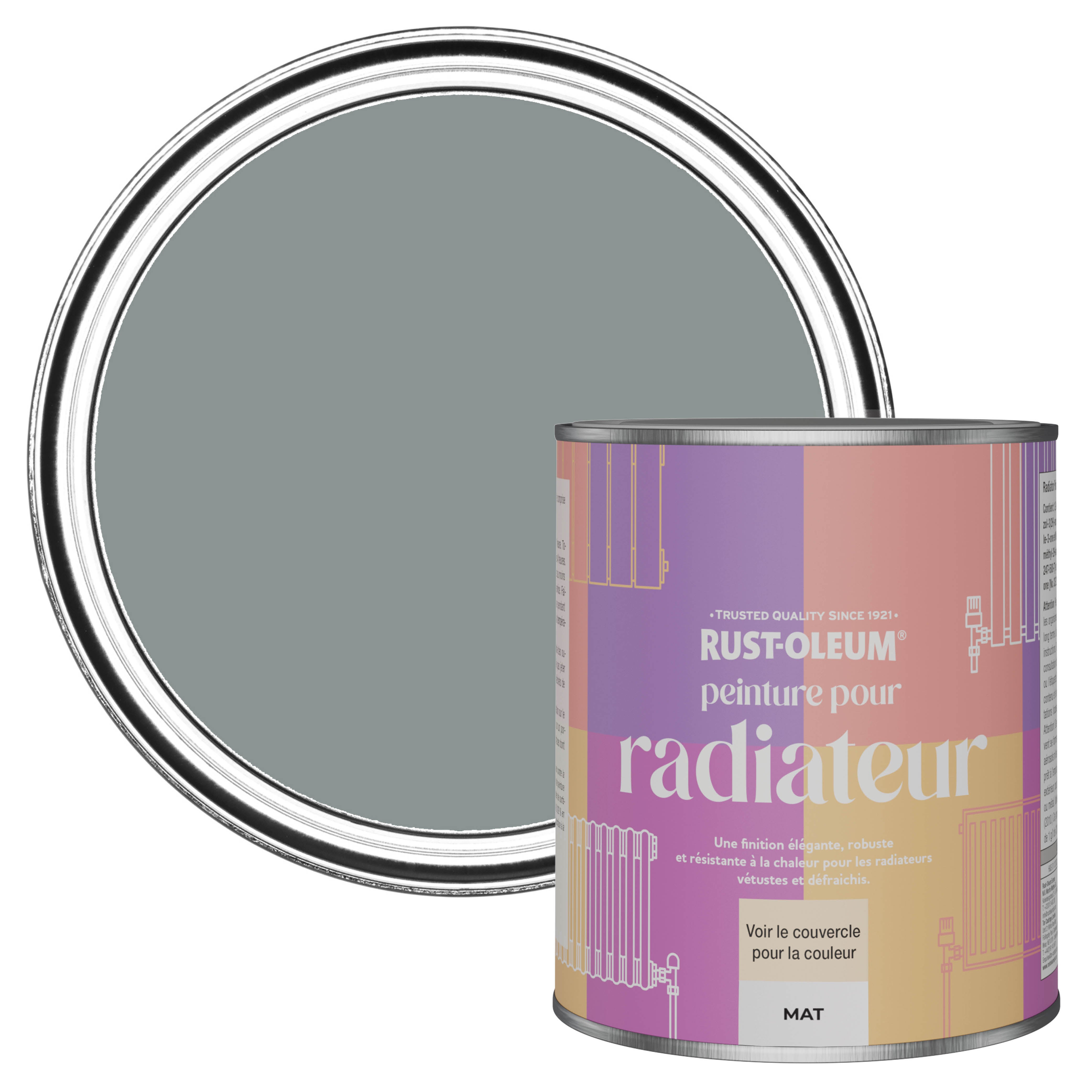 Rust-Oleum Peinture pour Radiateur, Finition Mate - Ardoise 750ml ...