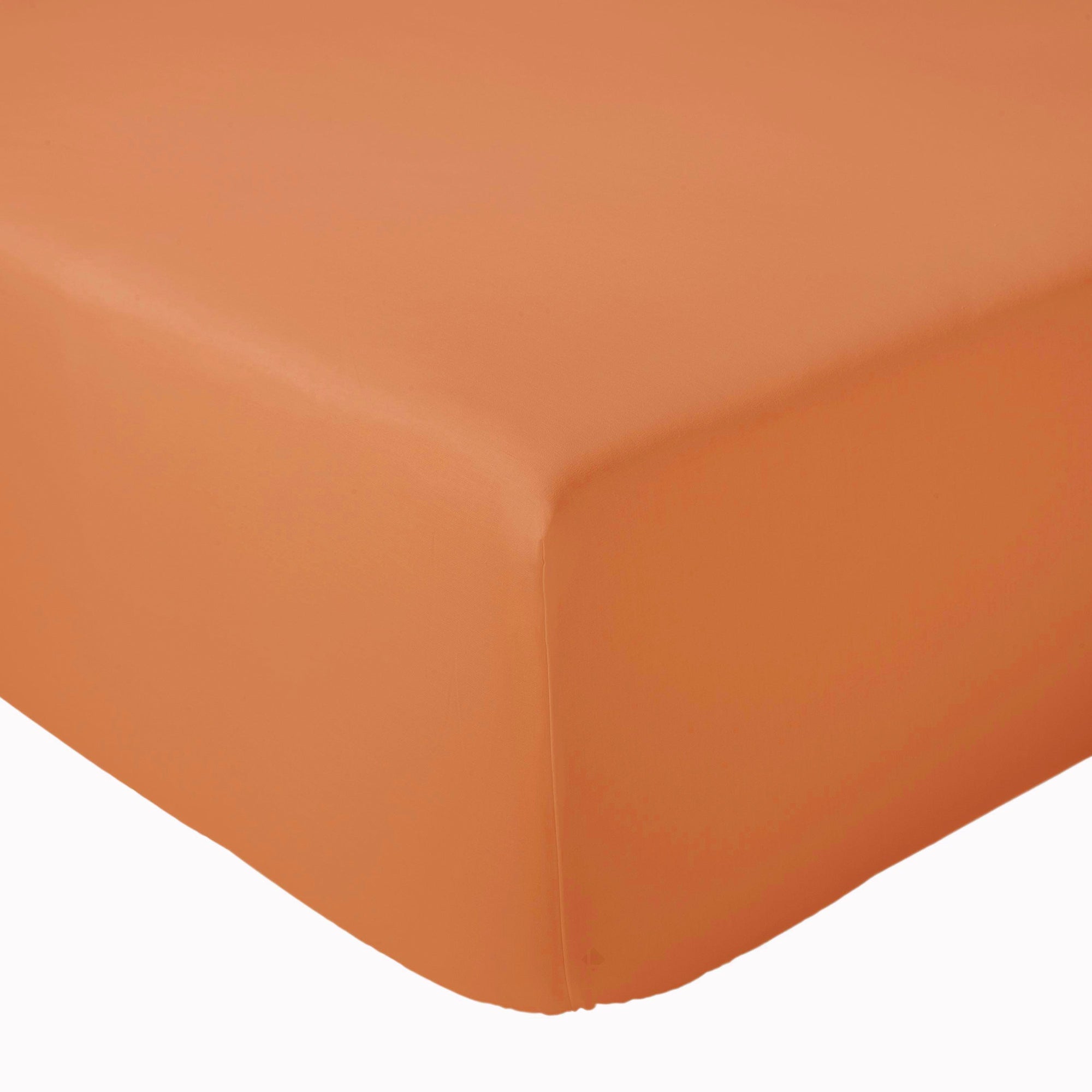 Drap housse 90x200 cm bonnet 30 cm percale PASSION PERCALE Cognac | Leroy Merlin