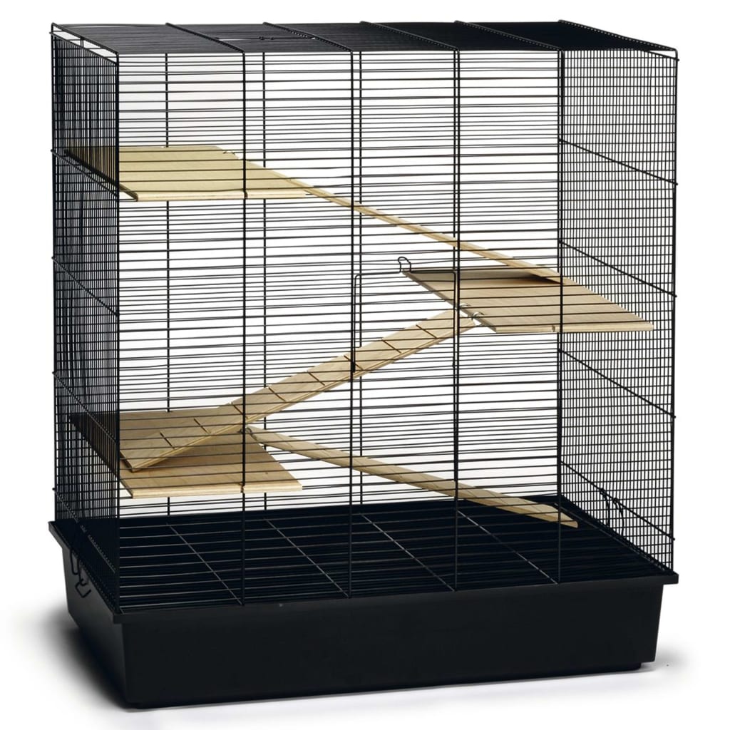 Maison Exclusive - Cage pour rongeurs Scooby Noir 70x40x78 cm Métal ...