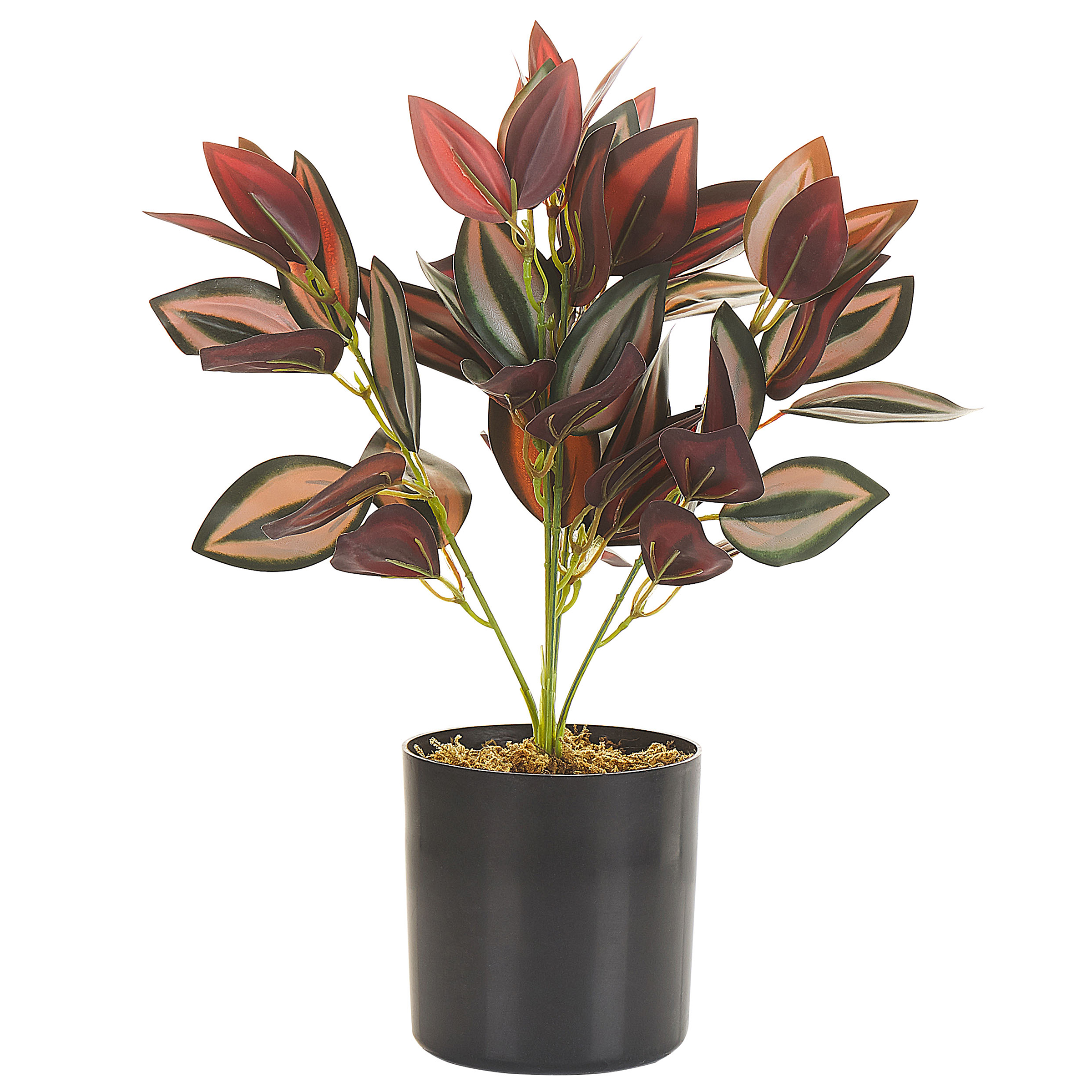 Plante artificielle TRADESCANTIA 35 cm Rouge | Leroy Merlin