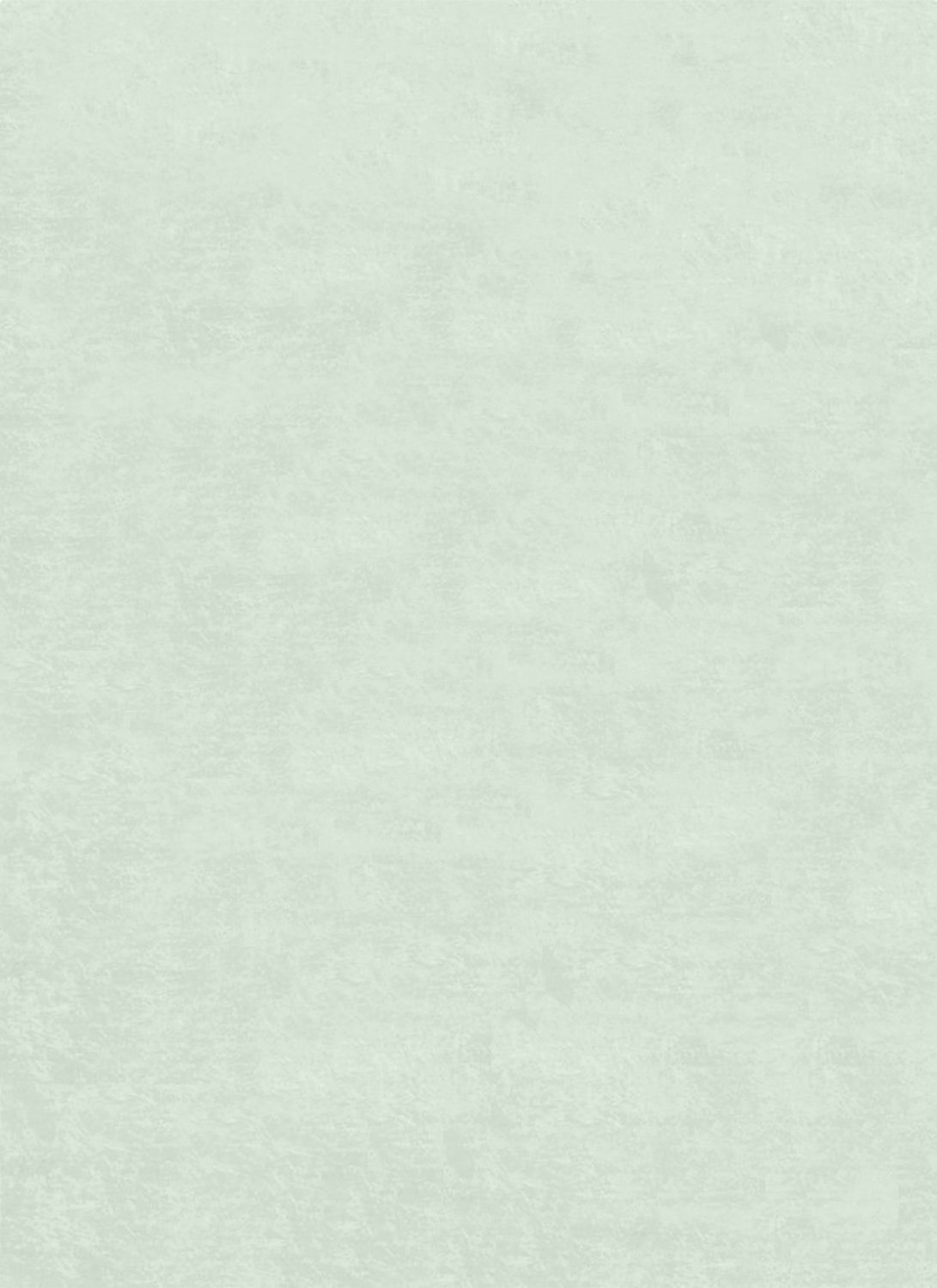 Tapis de salon UNI Vert - 80x150cm | Leroy Merlin