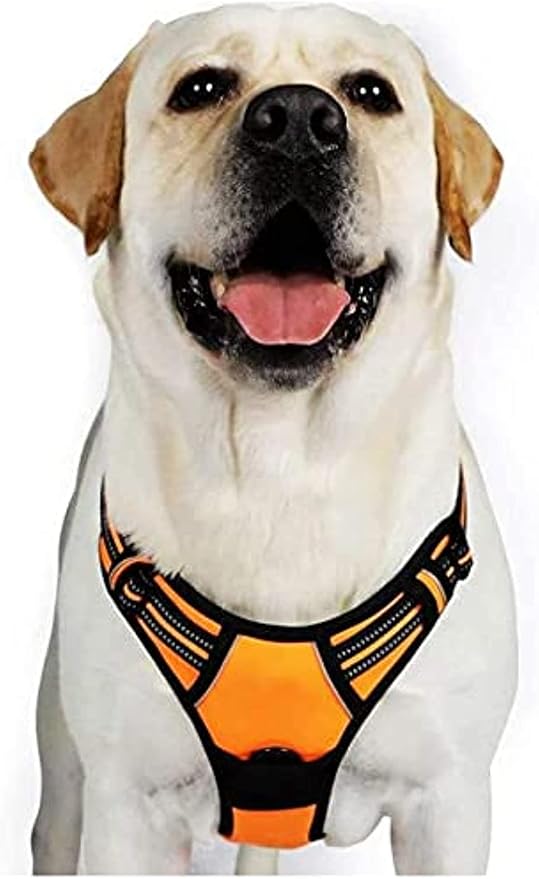 Harnais Chien XL Orange Anti-Traction Réfléchissant, Gilet Réglable ...