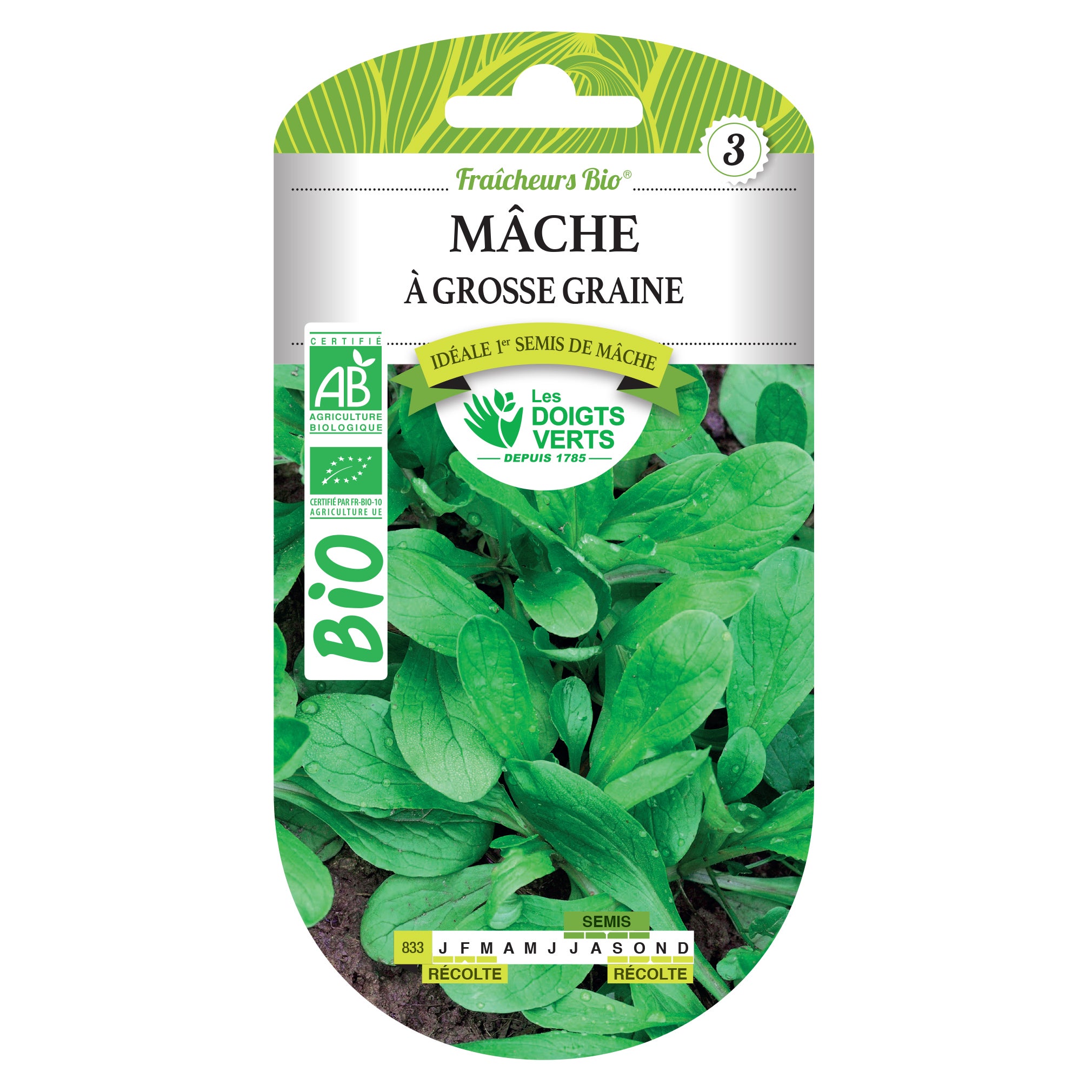 Graines de mâche à grosse graine BIO Les Doigts Verts | Leroy Merlin