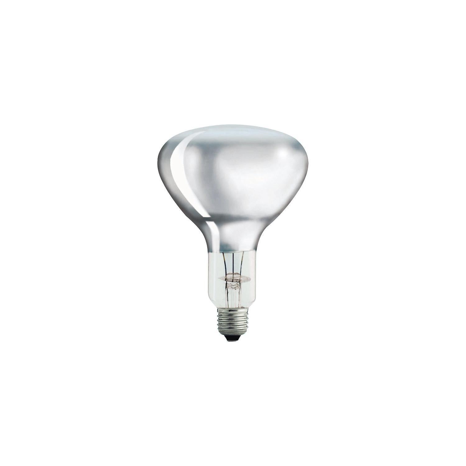 Bombilla Infrarroja E27 375W G125 Calentador de Alimentos, Infrarrojo ...