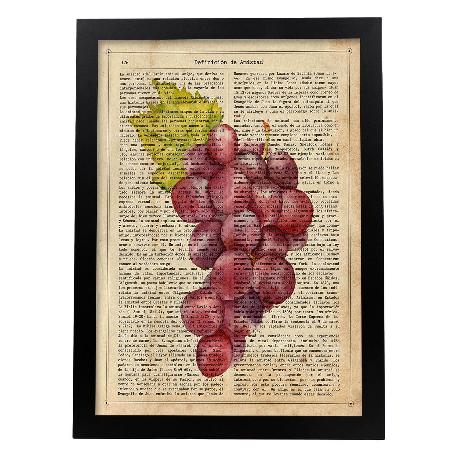 Affiches De Fruits Avec Du Texte. Garnacha Lame Avec Des Images ...