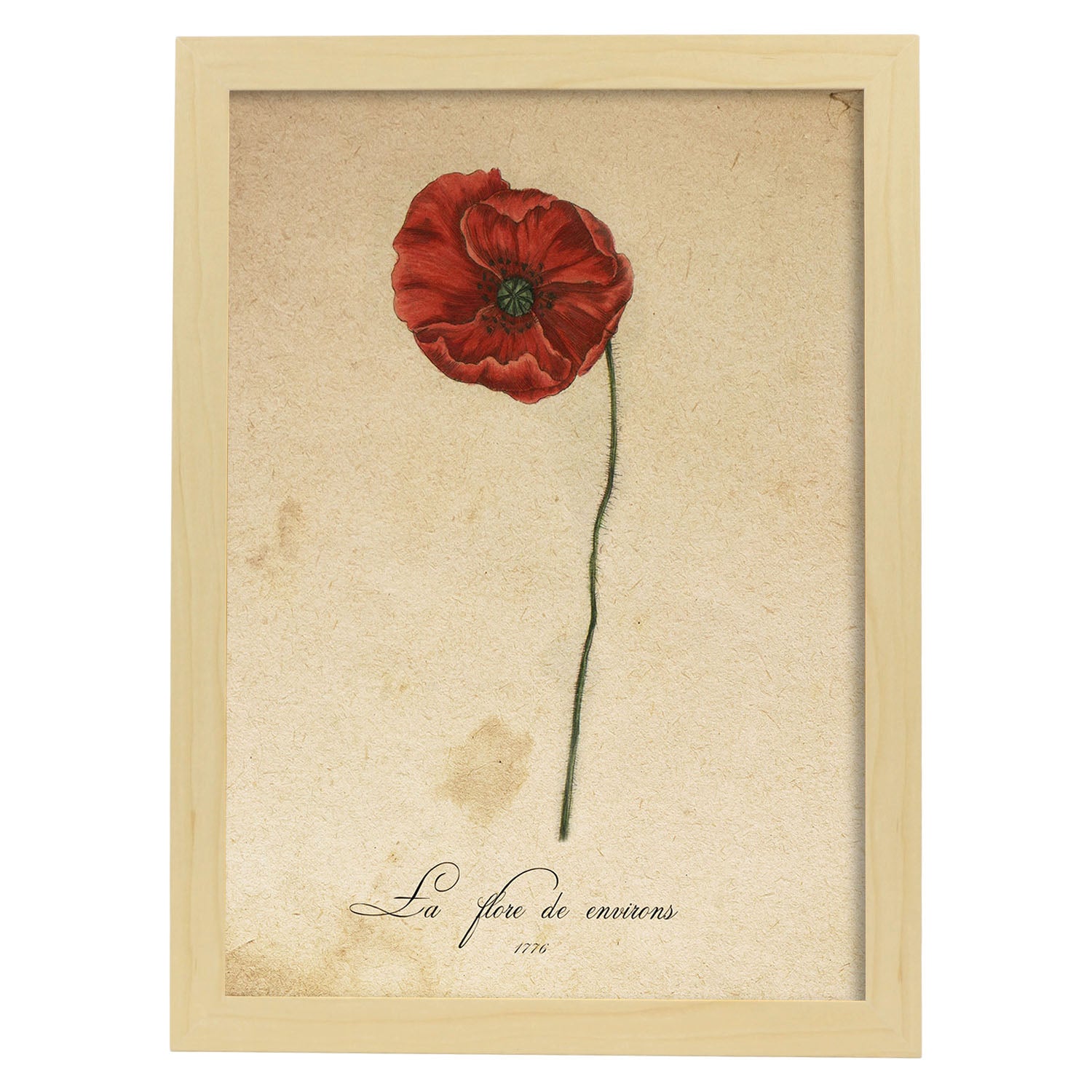 Poster De Flores Vintage. Lamina La Flore Des Environs Con Diseño ...