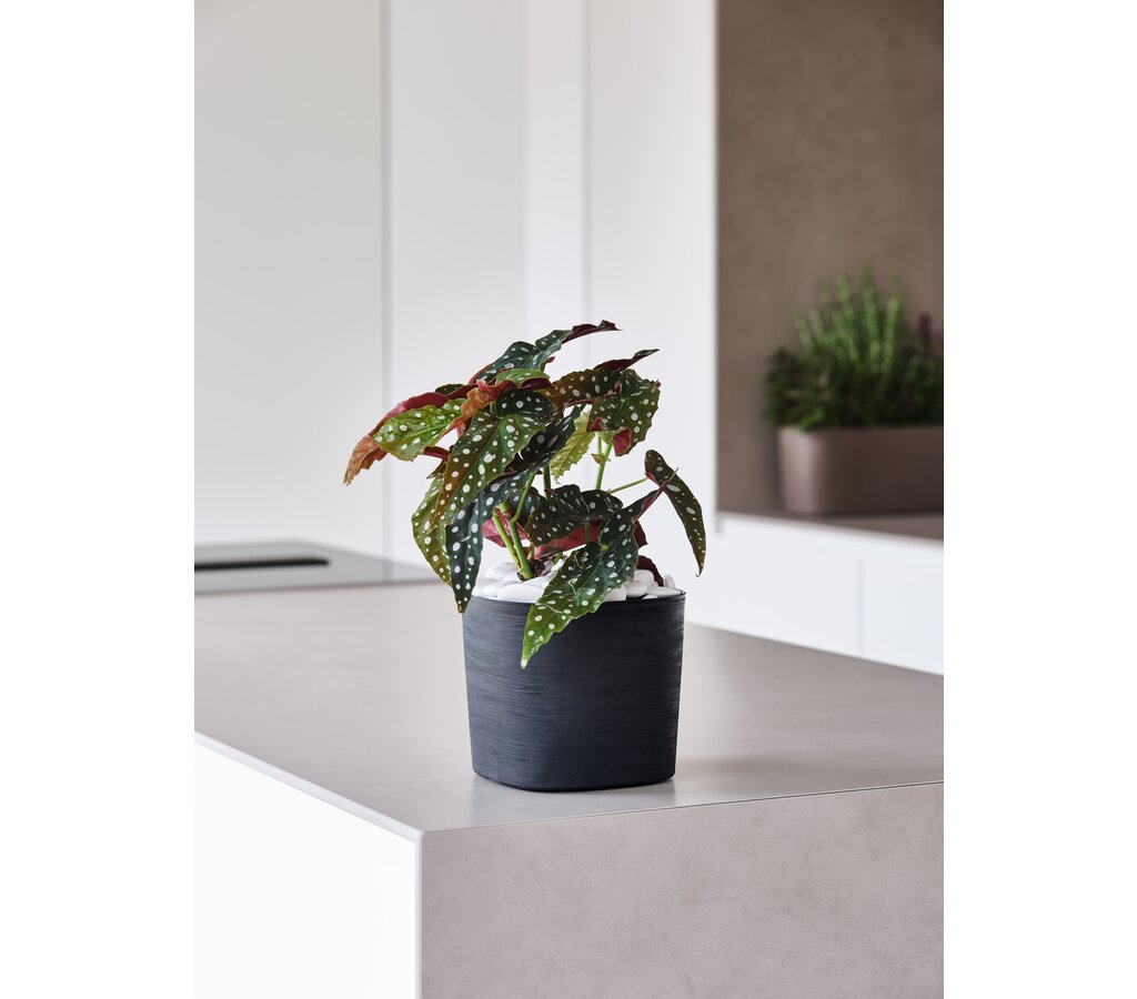 Vaso da interno esterno CAPRI 38X38 H30 con riserva d'acqua | Leroy Merlin