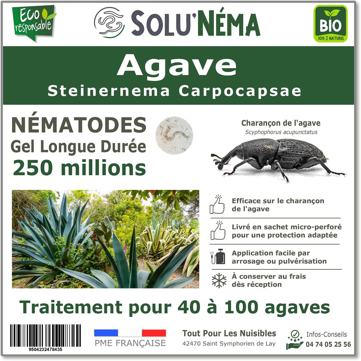 Solunéma - Nématodes Contre le Charançon de l'Agave - Pour 40 à 100 ...