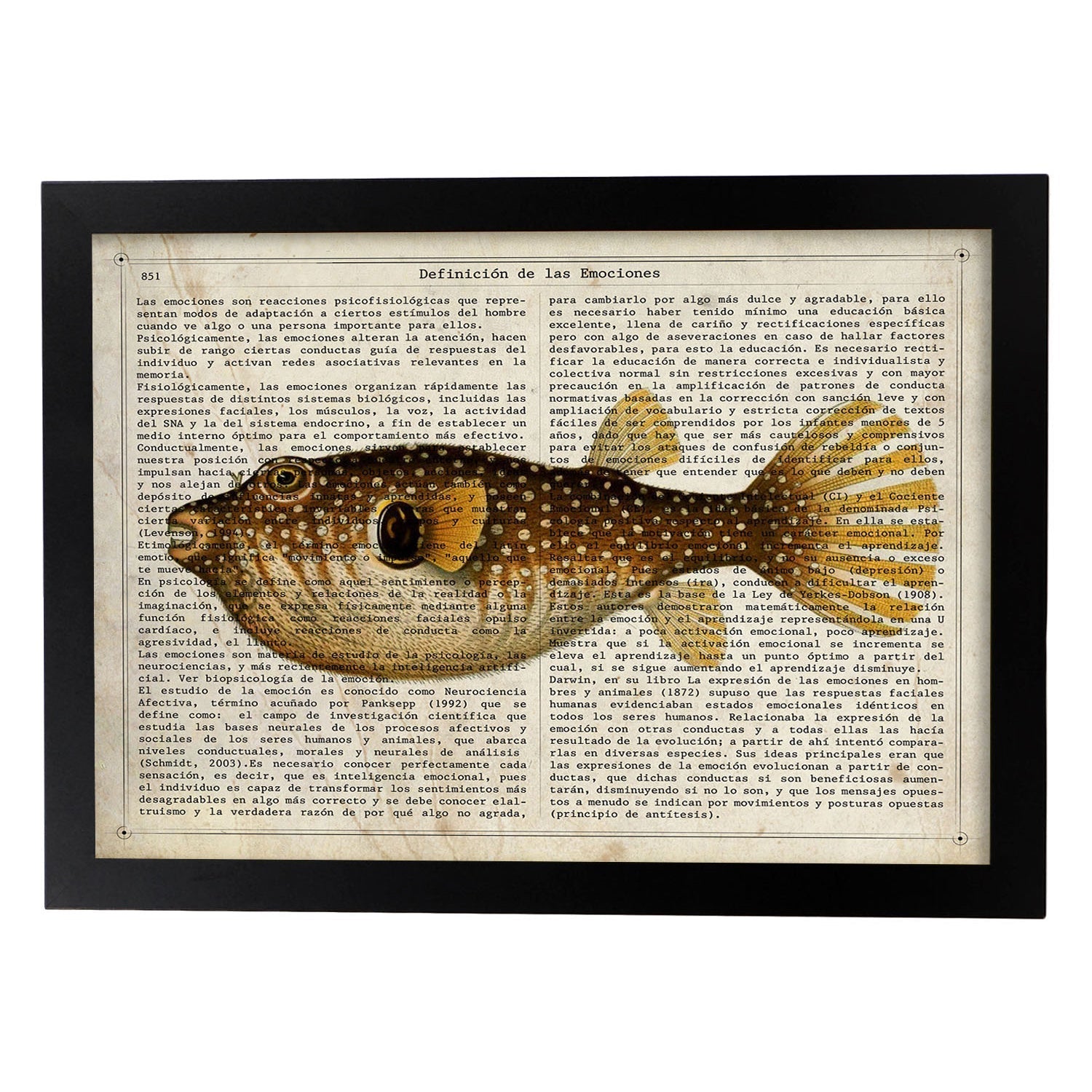 Poster De Peces Marinos. Lamina De Pez Globo Con Definicion. Diseño De ...