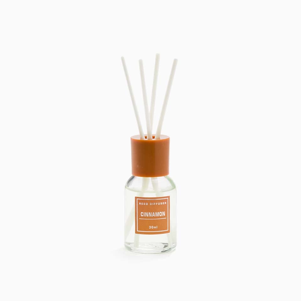 Diffuseur de parfum FRAGRANCE Cannelle 30 ml | Leroy Merlin