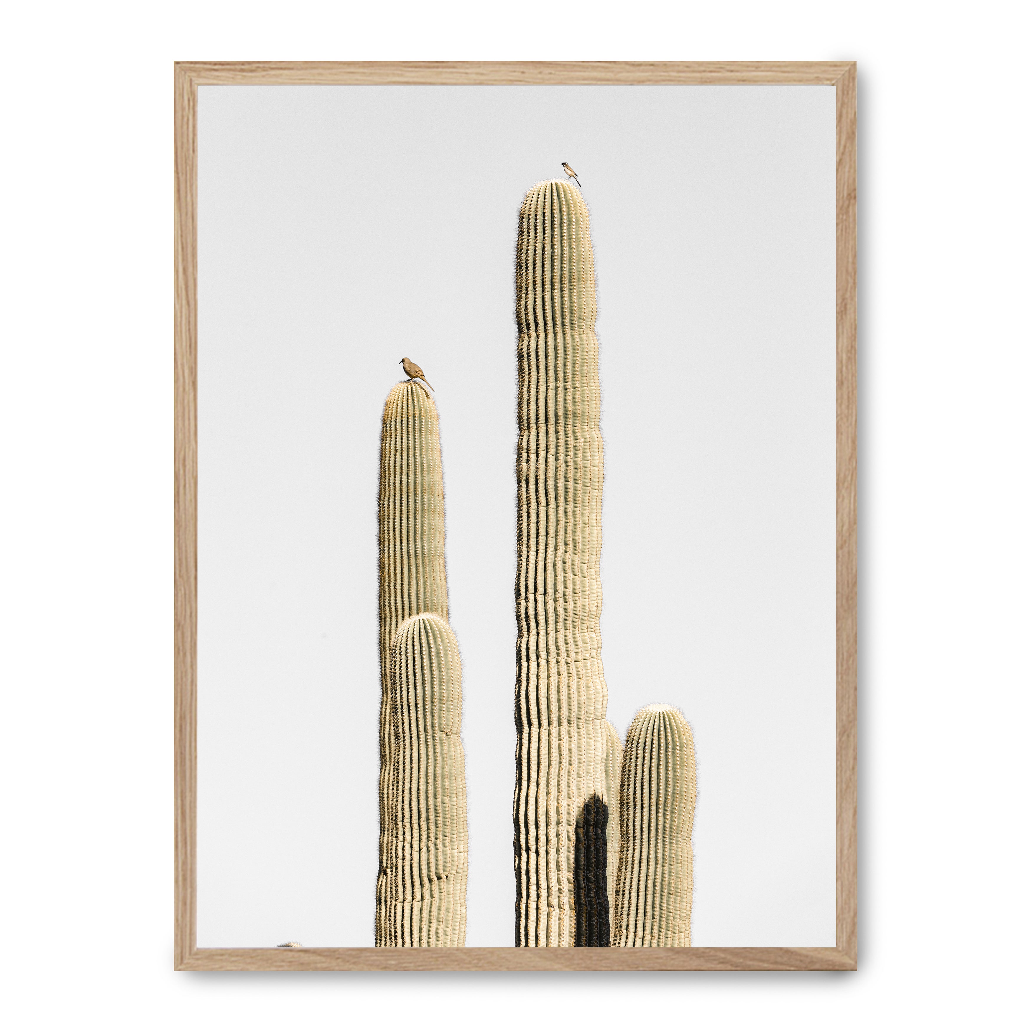 Cuadro Cactus saguaro II, marco premium chapado en roble, 30x40 cm ...