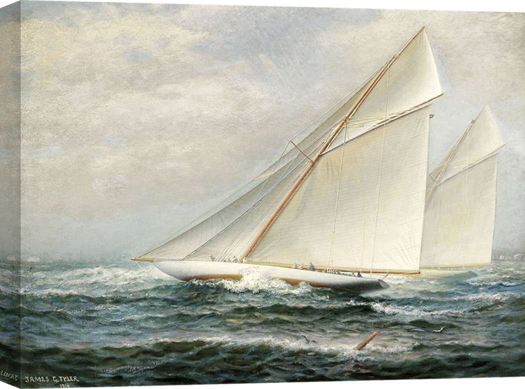 Pintura, impresión sobre lienzo - James Gale Tyler, America's Cup ...
