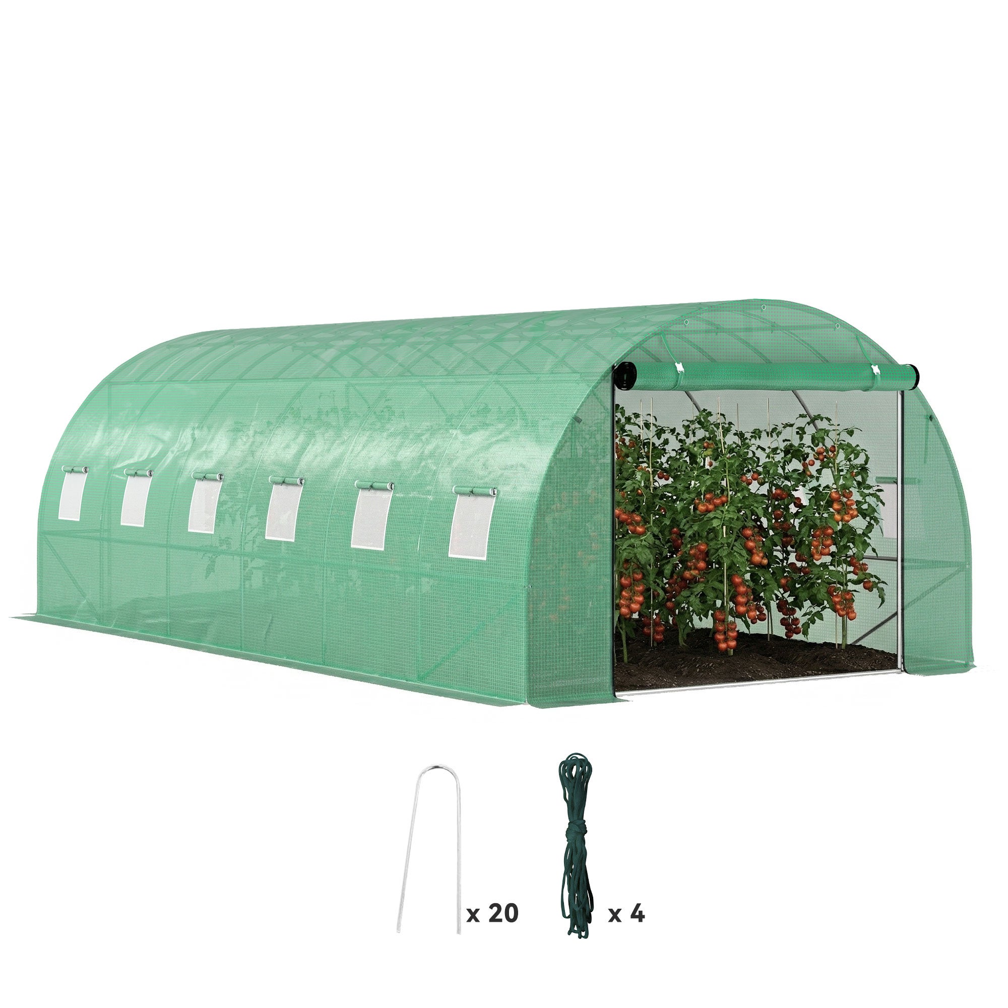 Polytunnel greenhouse with plastic cover and steel frame, walk-in ...