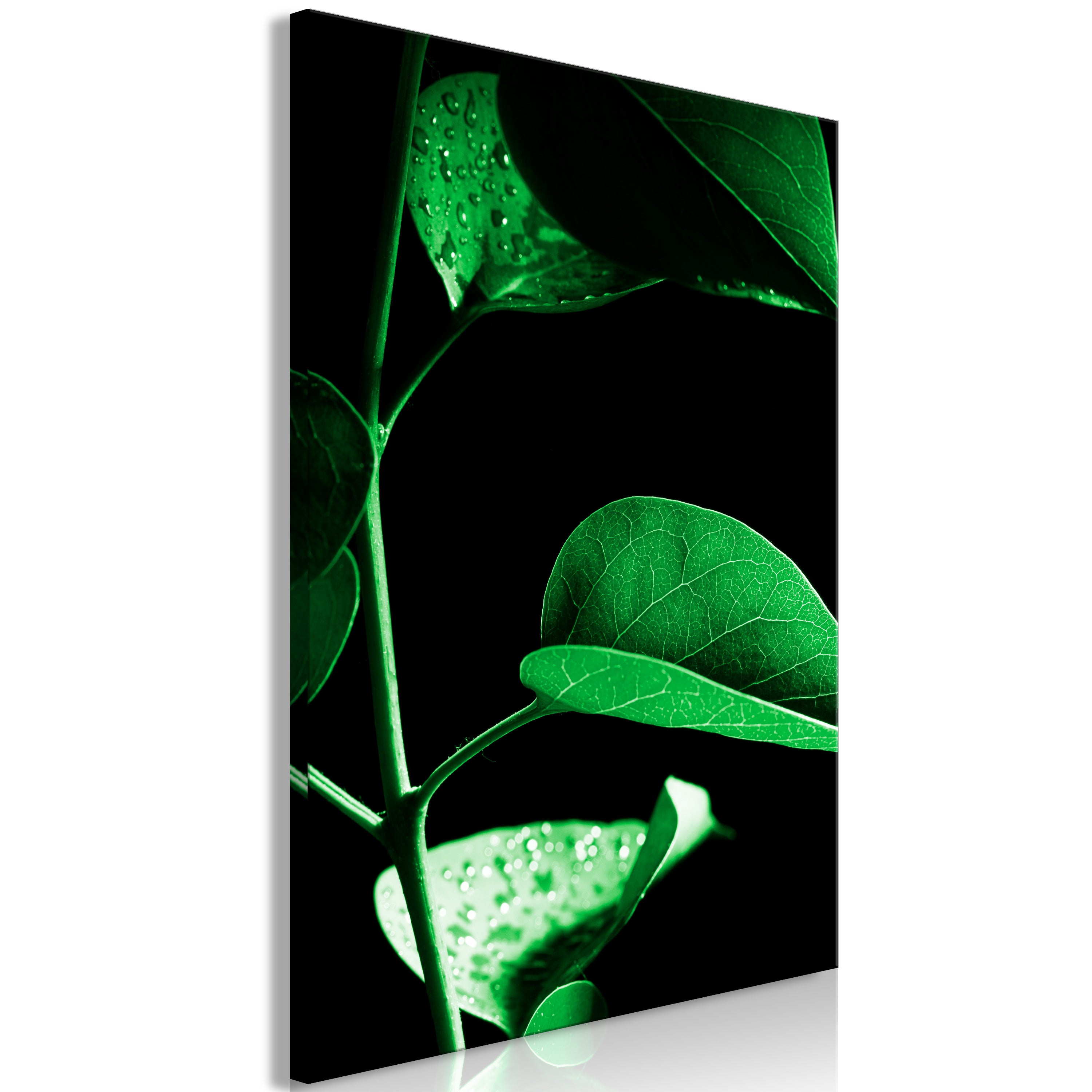 Tableau - Plant in Black (1 Part) Vertical 60x90 cm | Leroy Merlin
