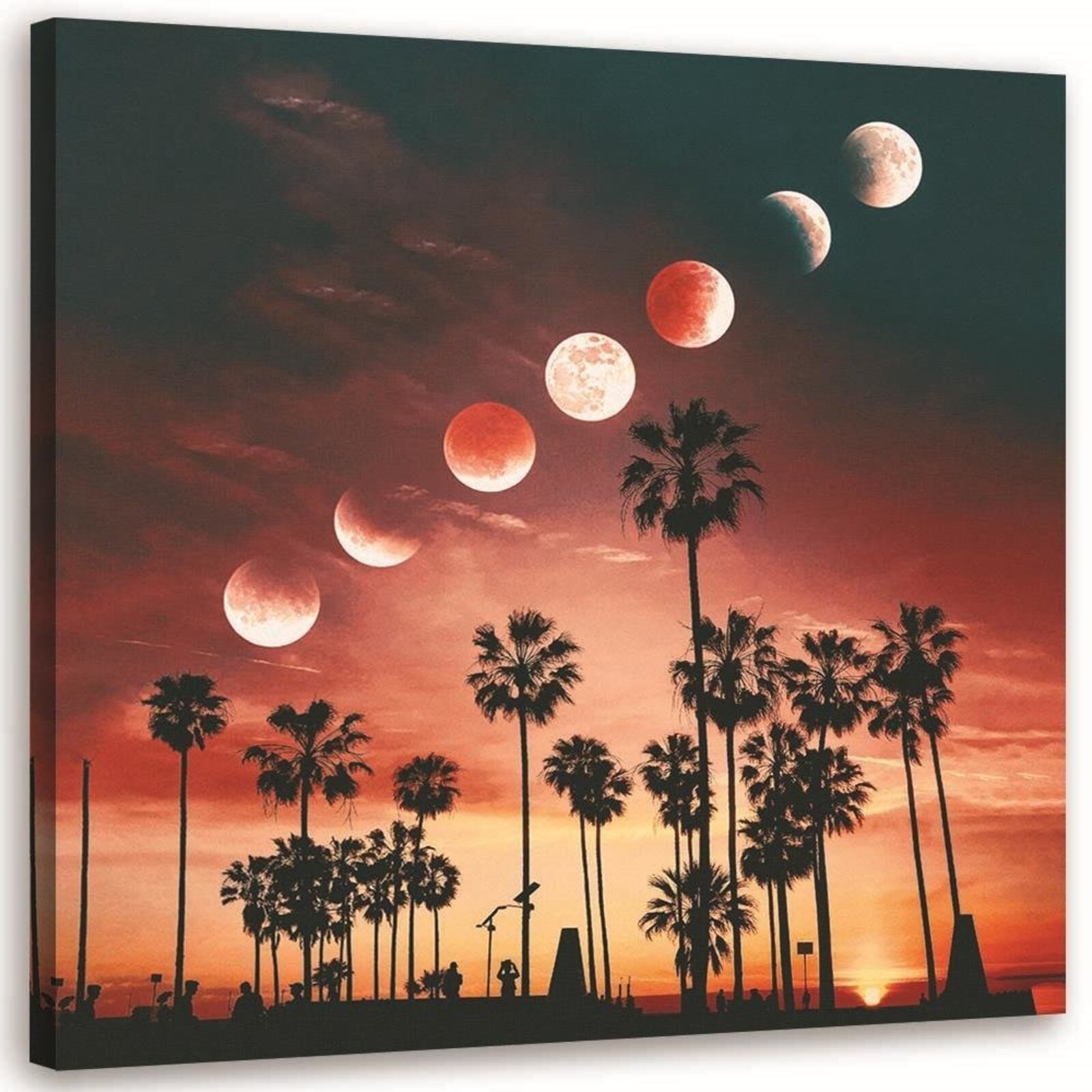 Tableau phases de la lune au-dessus des palmiers - 80 x 80 cm | Leroy ...