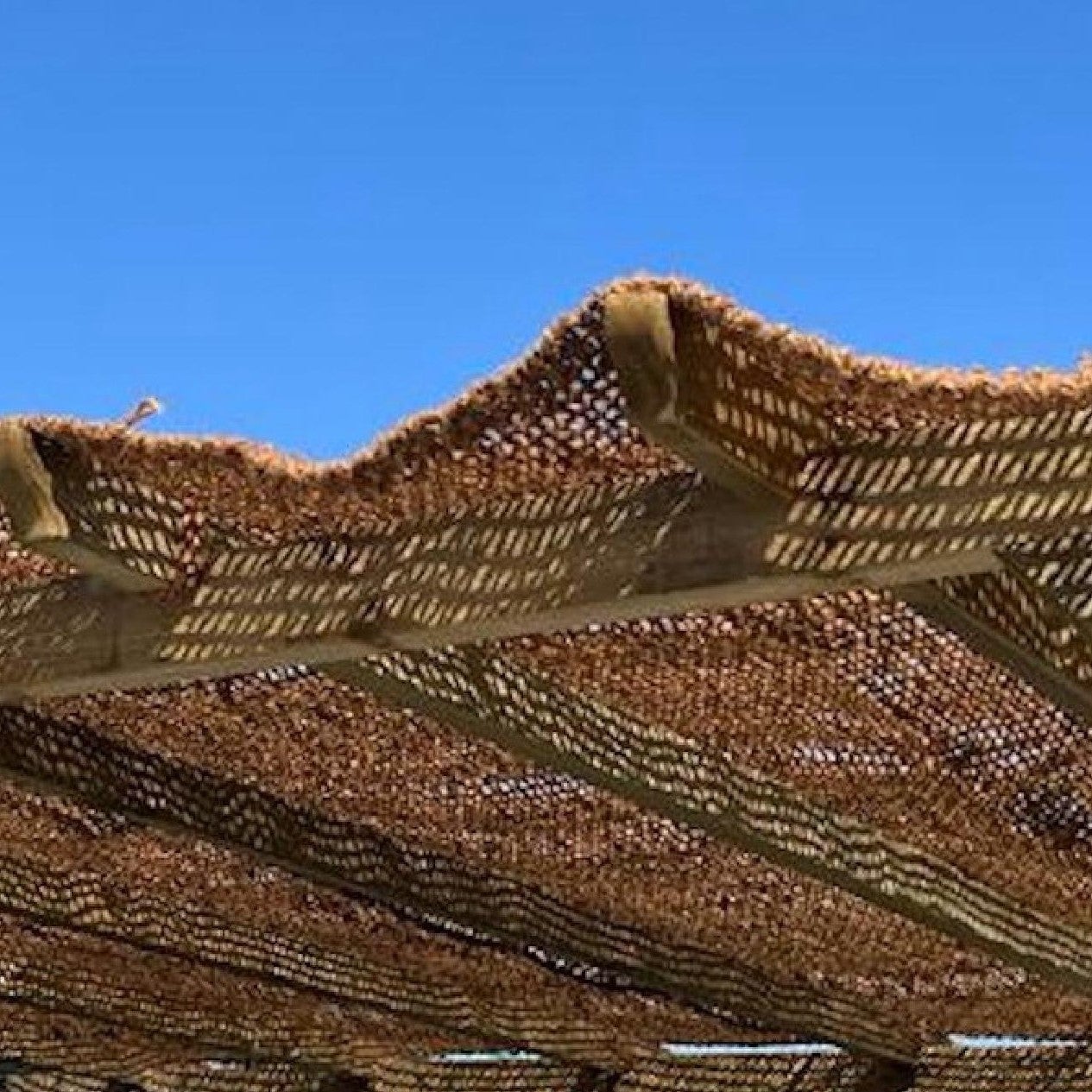 Toldo Sombreo de Fibra de Coco 4x3 m SIN anclajes 100 % Natural Ideal ...