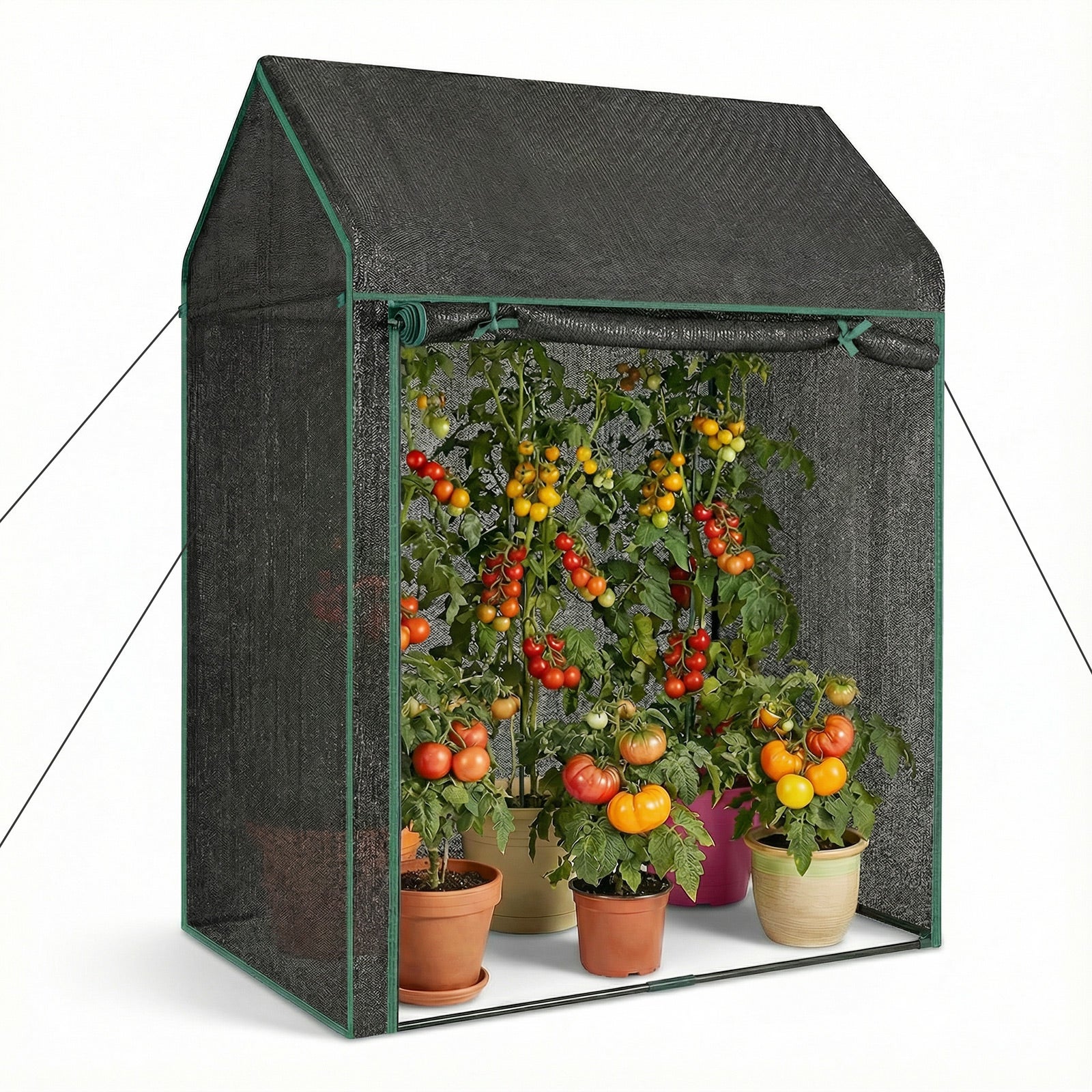 Serre de Jardin avec Porte et Fenêtres, Mini Serre à Tomates avec ...