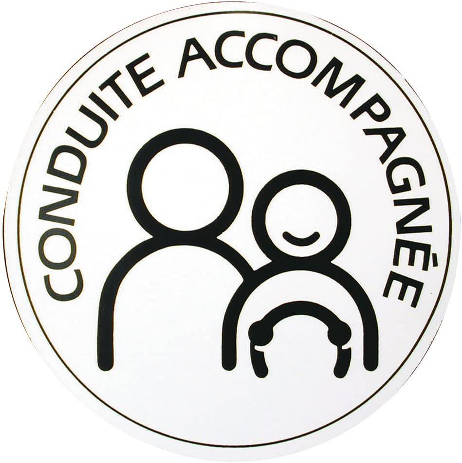 Disque magnetique CONDUITE ACCOMPAGNEE | Leroy Merlin