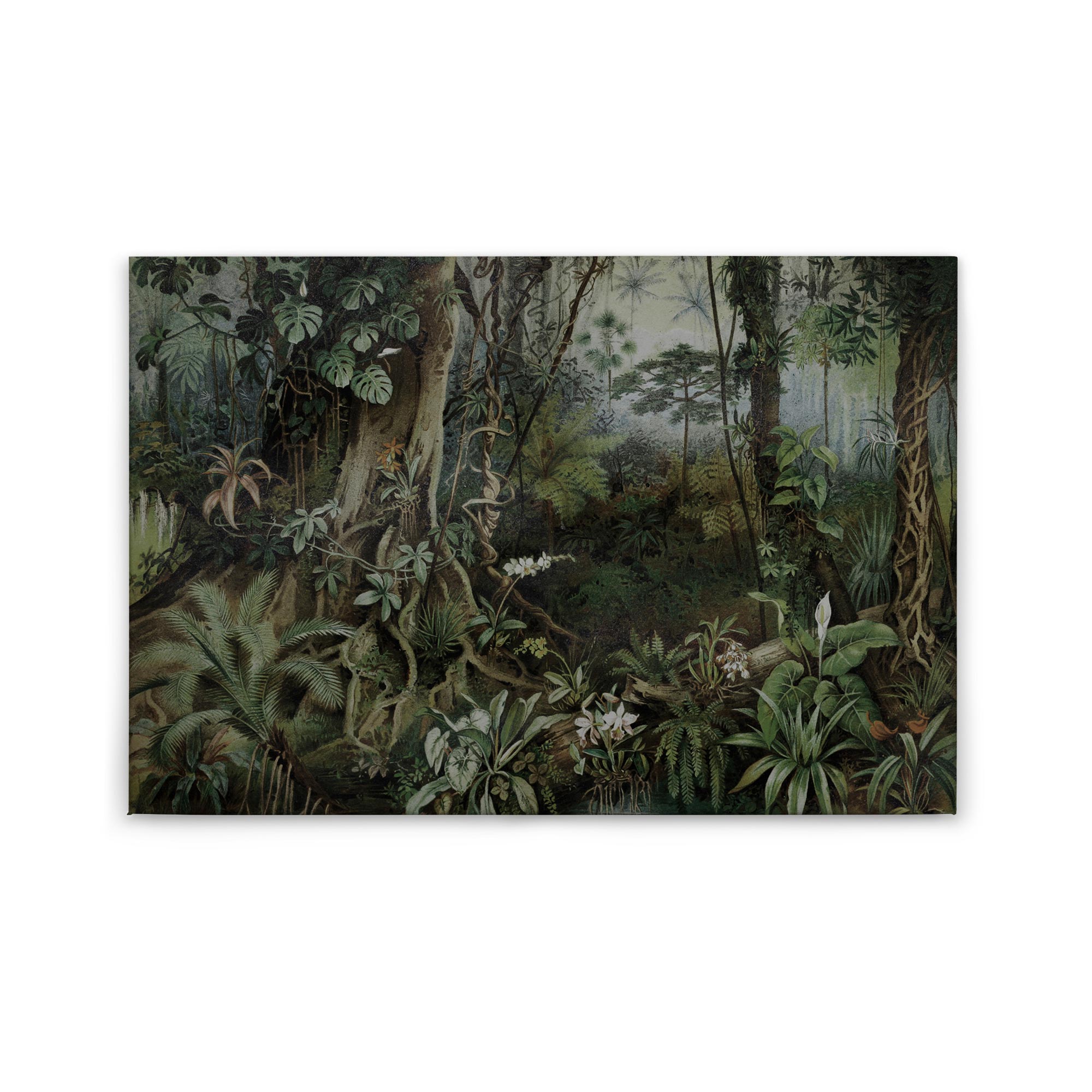 Tableau sur toile Jungle M1-No.50139 Tableau Jungle Vert Forêt Châssis ...