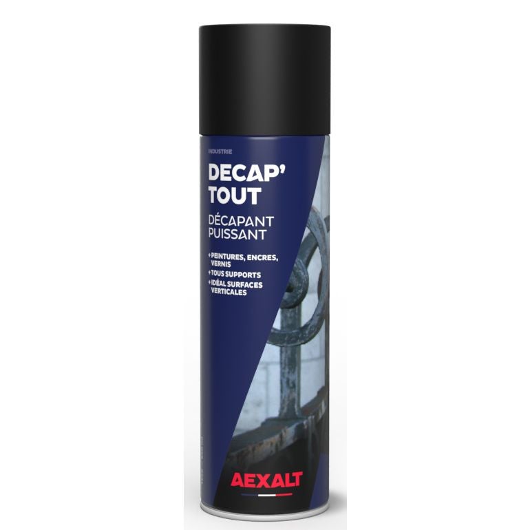 Décapant Décap'tout puissant aérosol de 650ml - AEXALT - 1526 | Leroy ...