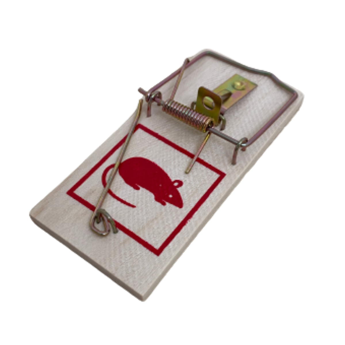 Tapette traditionnelle souris | Leroy Merlin