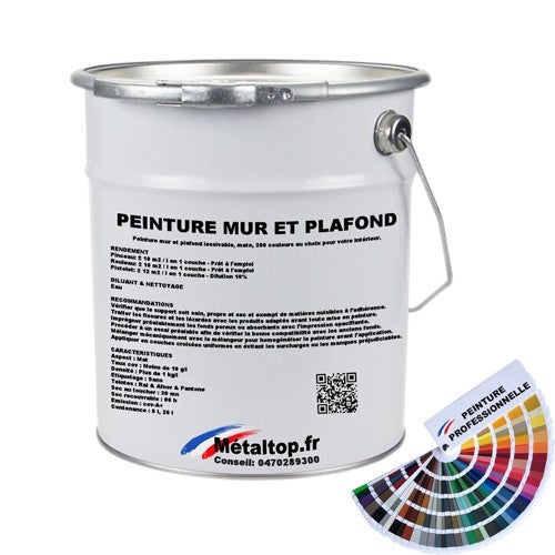 Peinture Mur Et Plafond - Metaltop - Vert pâle - RAL 6021 - Pot 5L ...