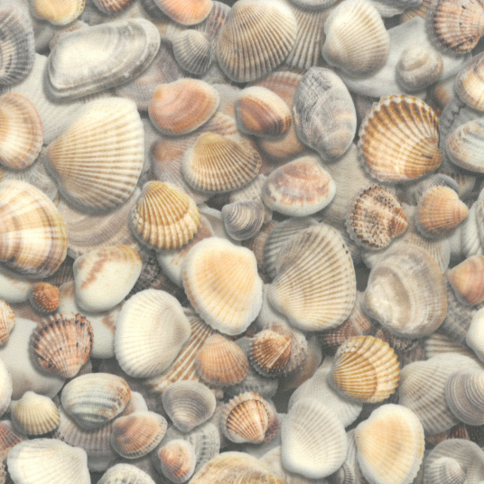Sol Vinyle Textile - Relief 3D - Imprimé Coquillages - Rouleau de 2m x ...