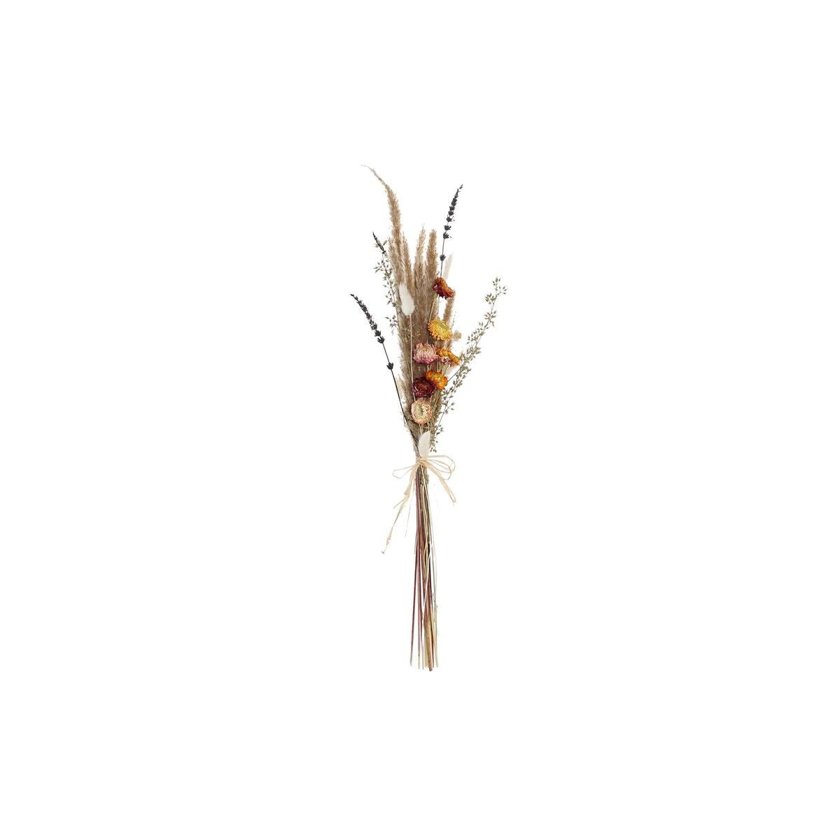 Pack de 2 ramos flor seca 8x3x55 marron | Leroy Merlin