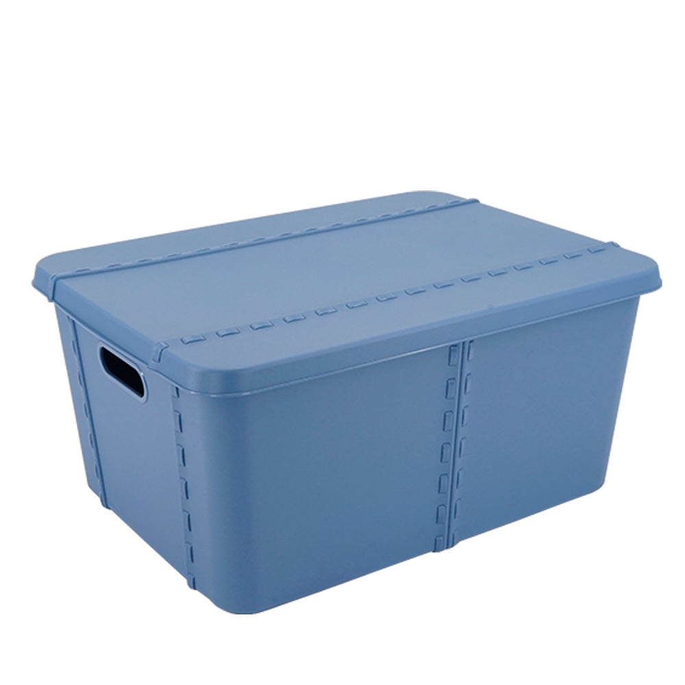 Life Story Caja Storage con grande coperchio viola 45L | Leroy Merlin