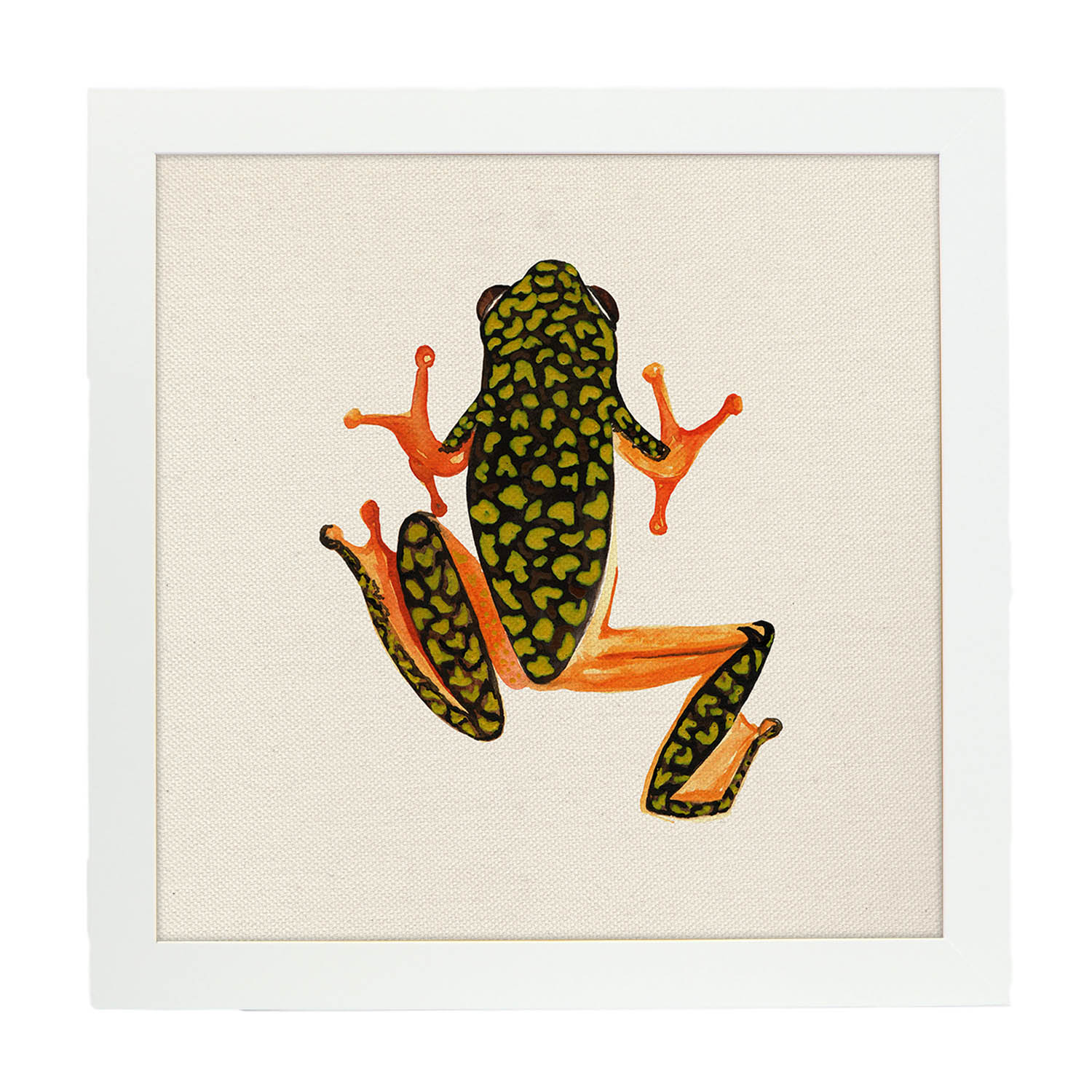 Affiche Carrée Avec Des Dessins De Grenouilles De Tortueslame Saute ...