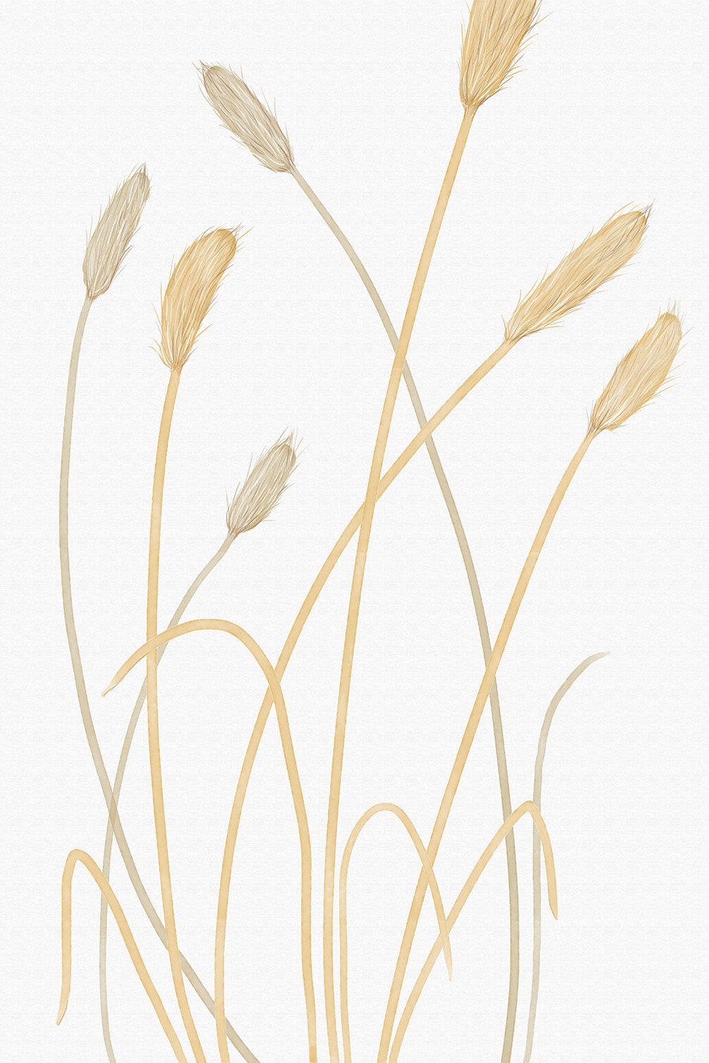 Quadro scandi spighe di grano 2 | Leroy Merlin