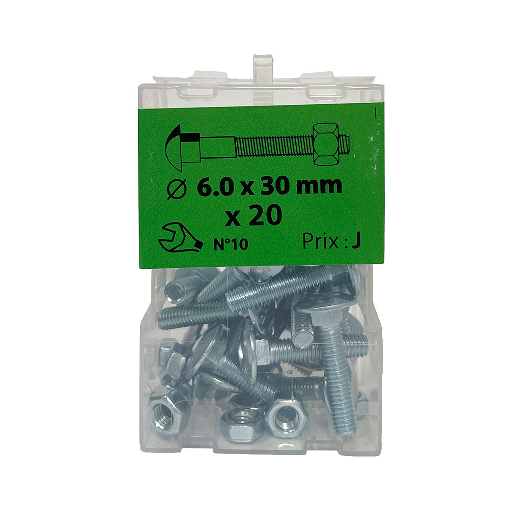 Boite 20 boulons TRCC 6 x 30mm zingué - Viswood | Leroy Merlin