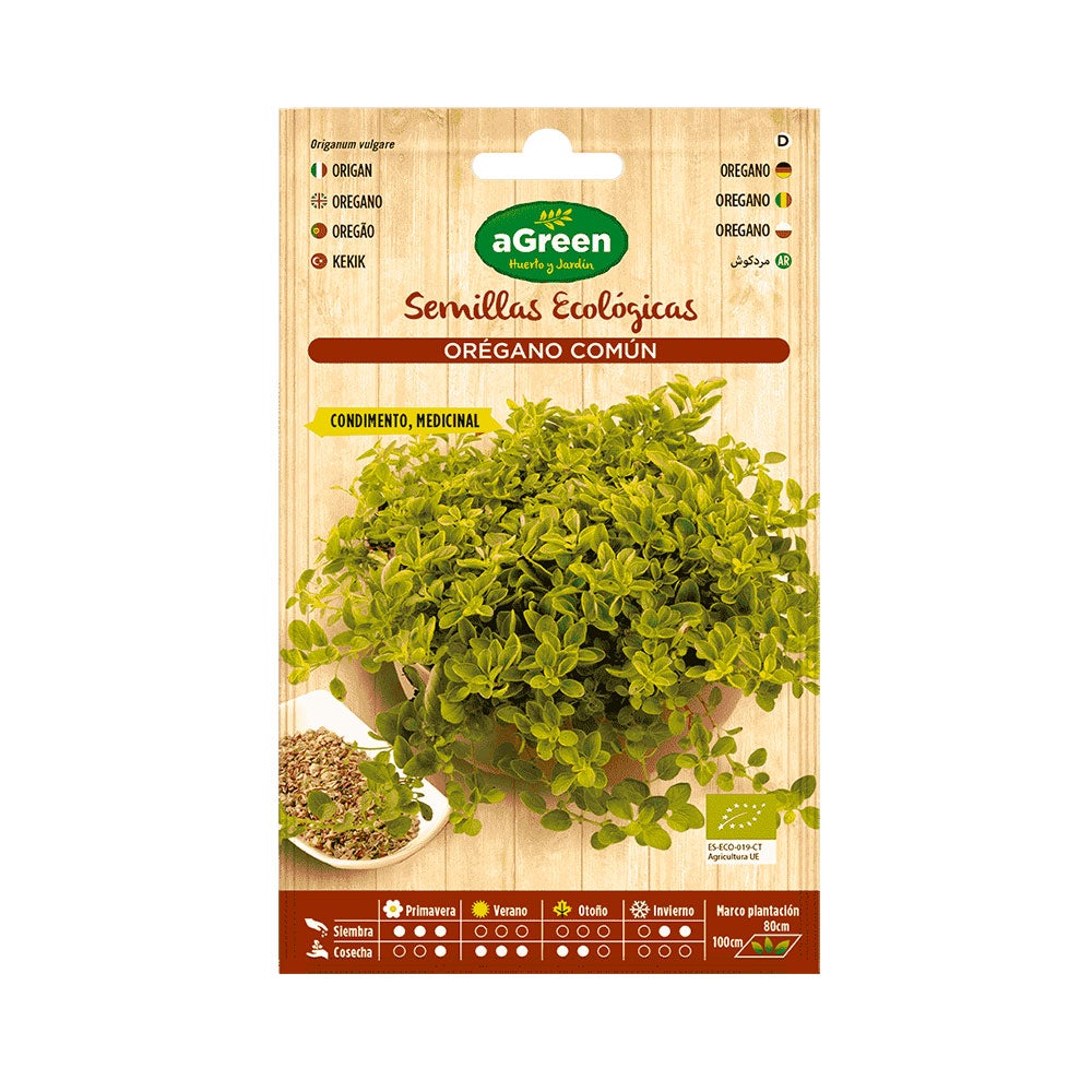 Sobre semillas ecológicas de Orégano AGREEN - Condimento medicinal ...