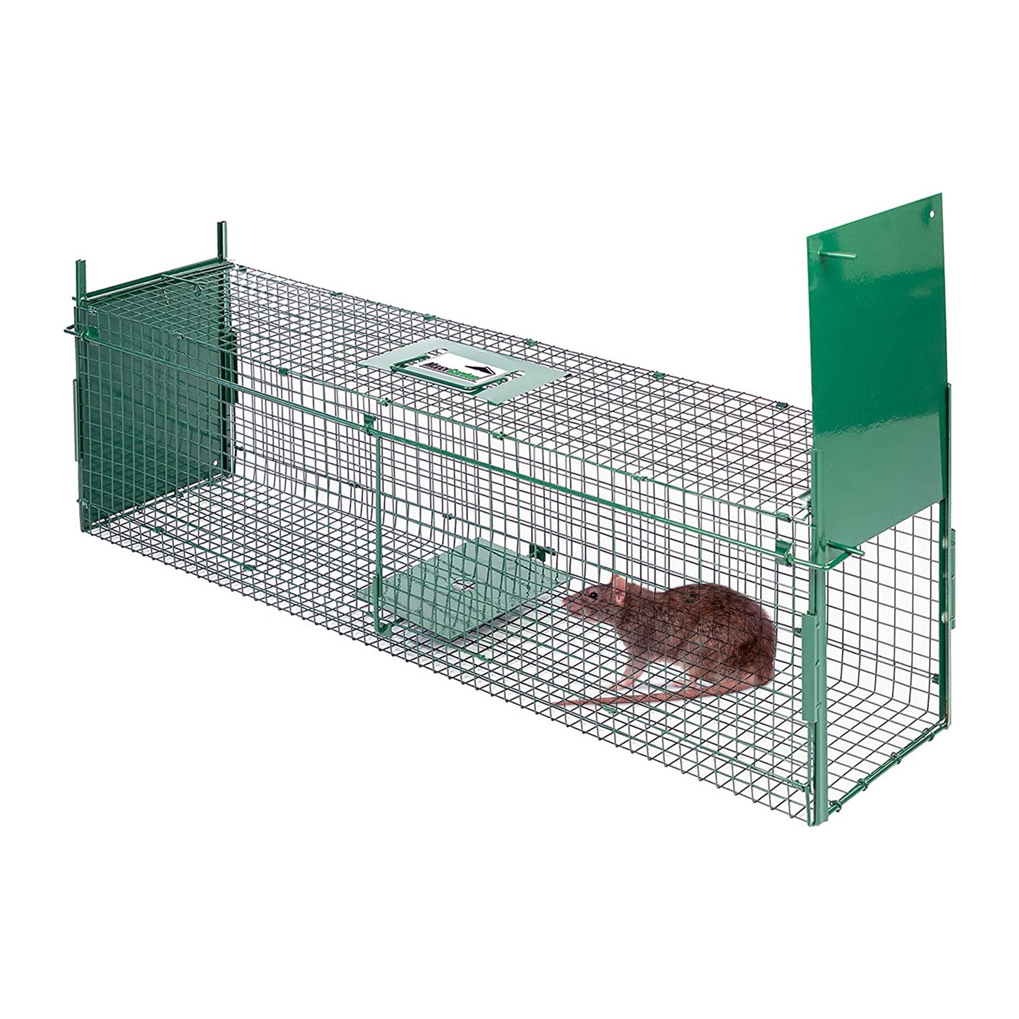 MaxxGarden piège à Rat - Piège de Capture - Trappe de capture - Pliable ...