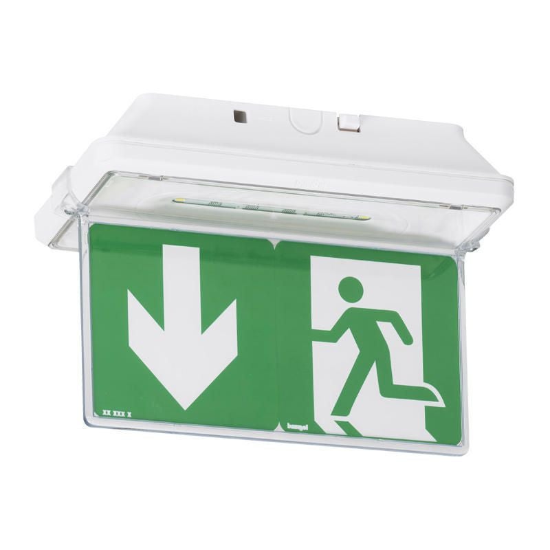 Plaque de signalisation d'évacuation verticale - pour BAES - IP43 ...