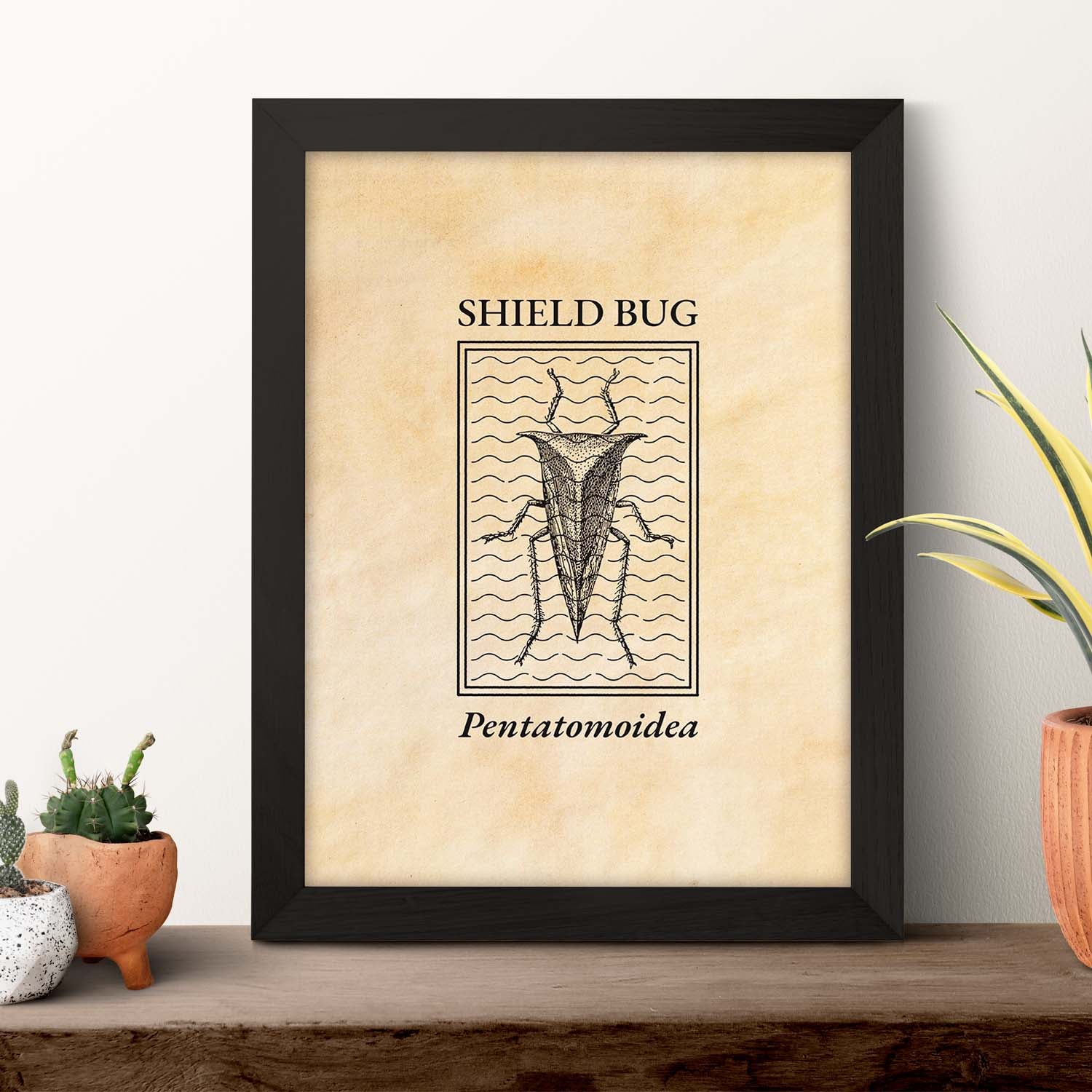 Lámina Vintage Bicho Escudo Pósters De Insectos En Estilo Grabado Y ...