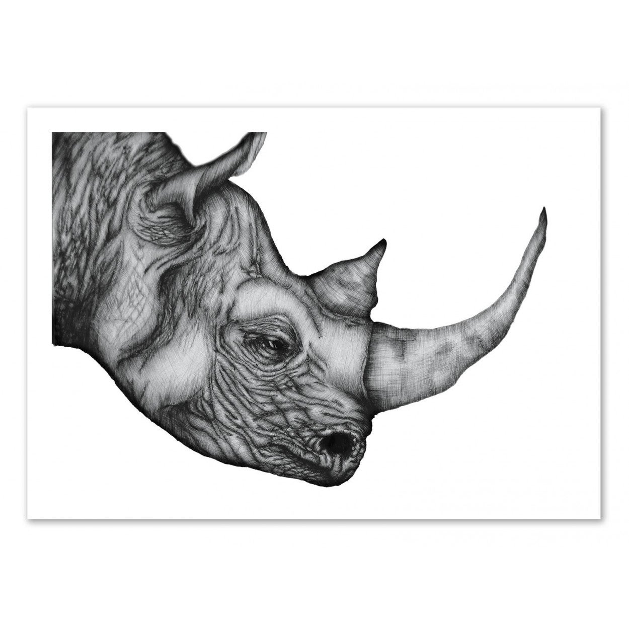 Affiche d’art 50 x 70 cm - Roy - Ella Mazur | Leroy Merlin