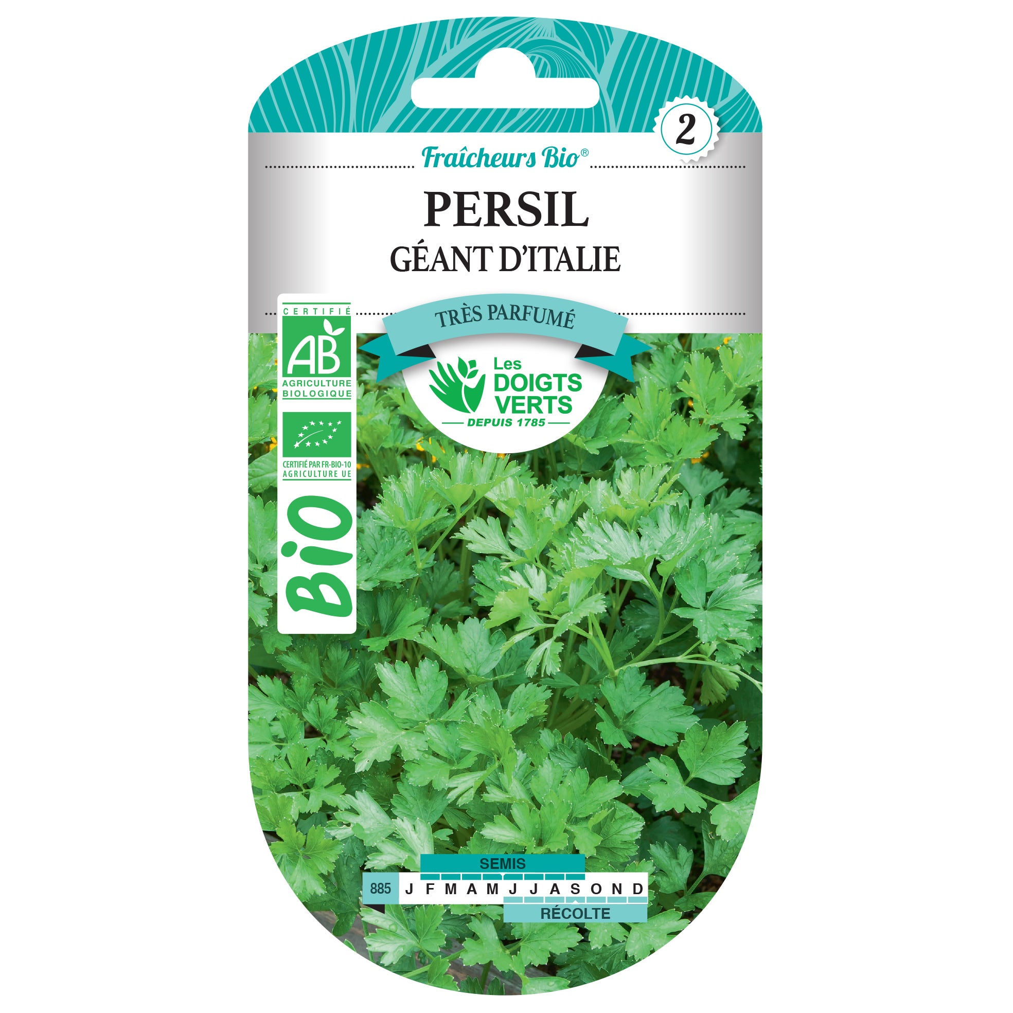 Graines persil géant d'Italie BIO Les Doigts Verts | Leroy Merlin