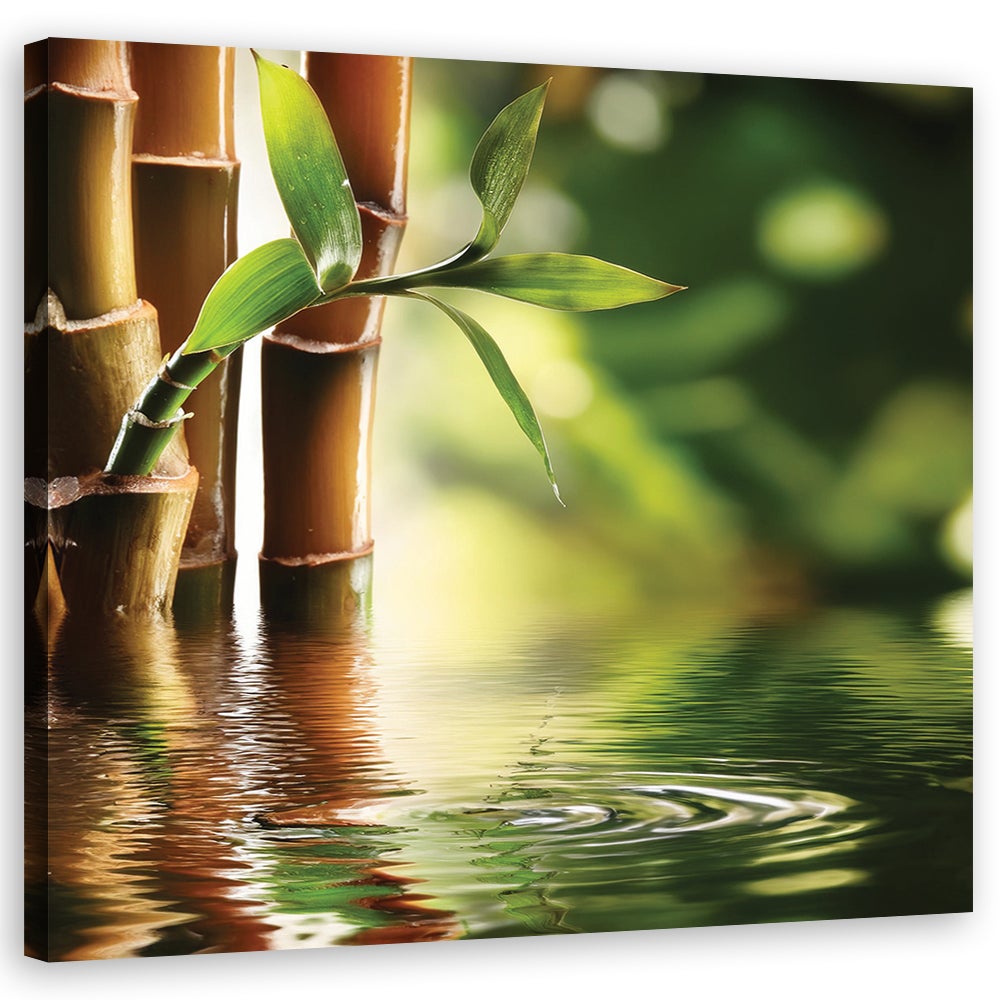 Tableau sur toile, Bambou zen 30x30 | Leroy Merlin