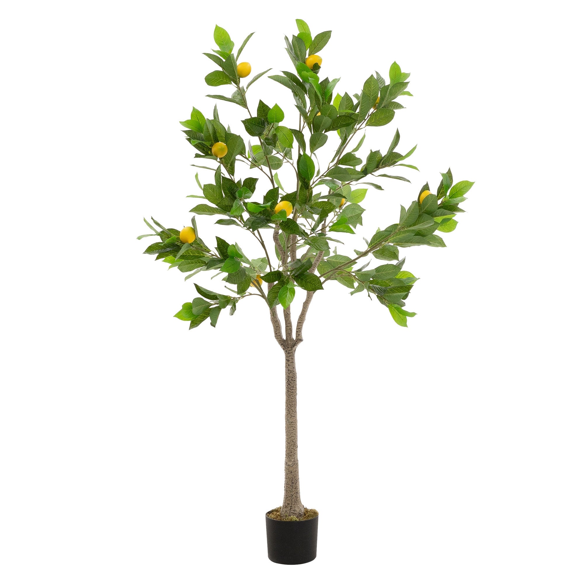 Plante artificielle citronnier 160 cm faux arbre décoratif imitation ...
