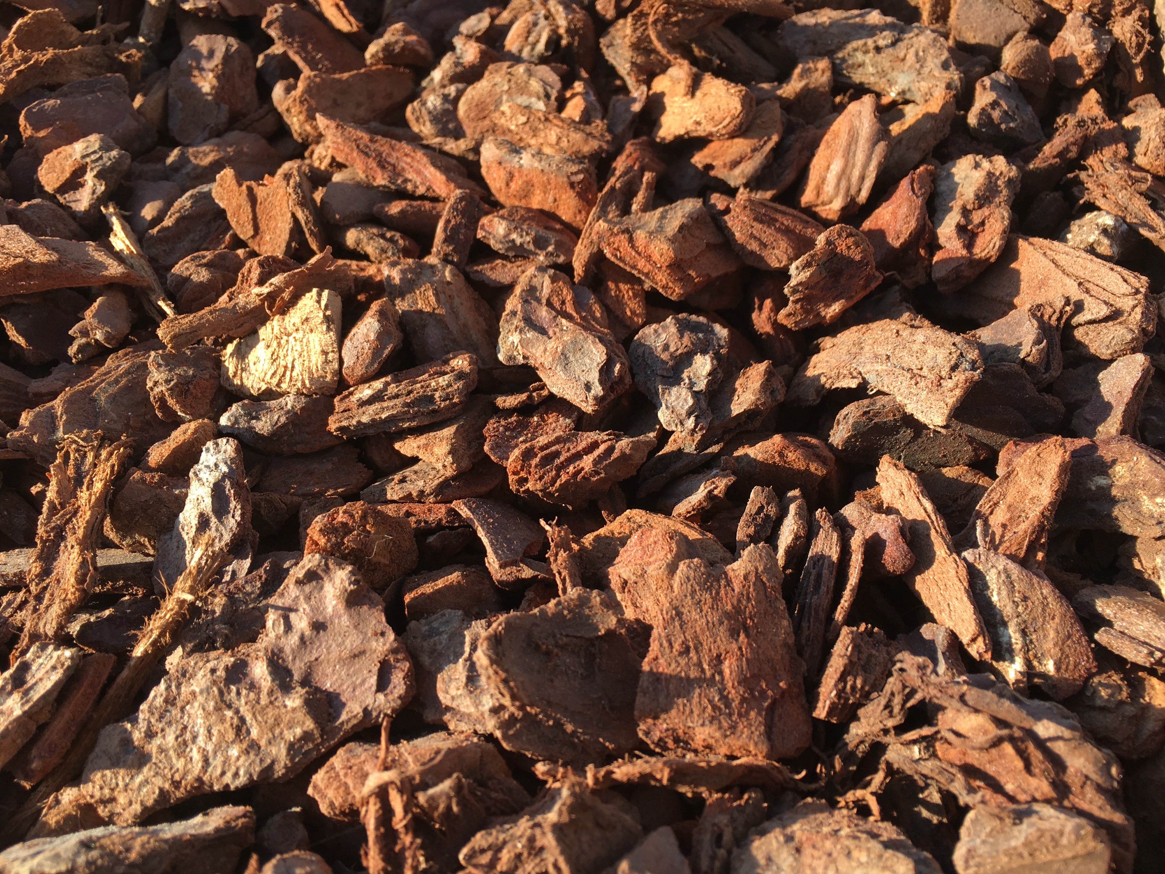 Écorce de pin décorative Saco 20 L. / 40-60 mm | Leroy Merlin