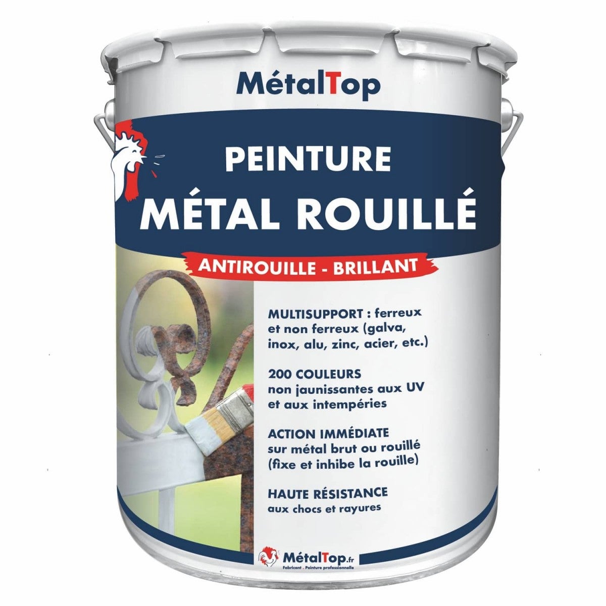 Peinture Metal Rouille - Beige gris - RAL 1019 - 5 L - Métaltop | Bricoman