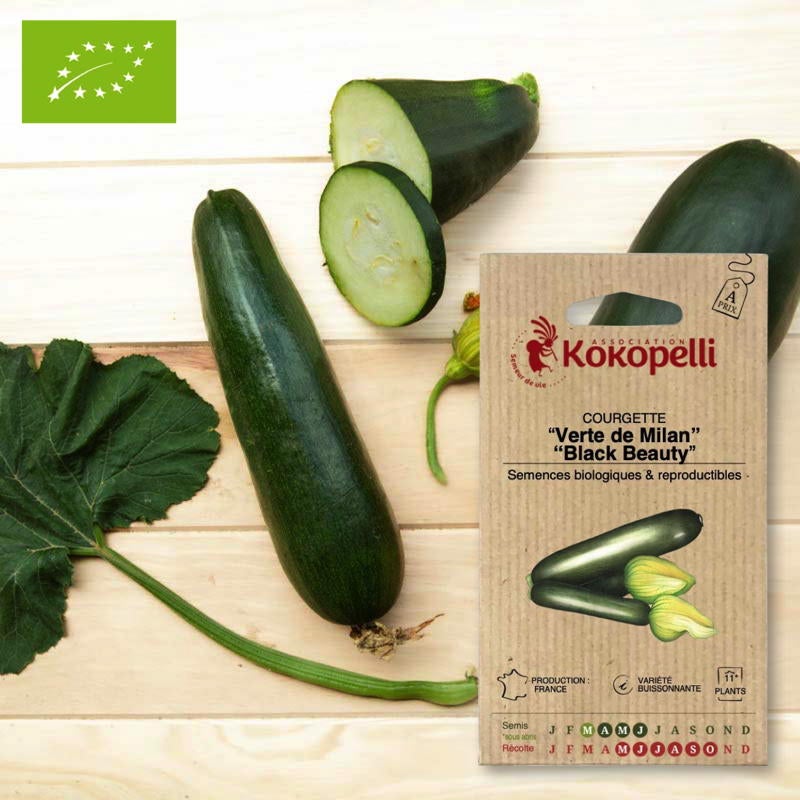 Courgette Verte de Milan- Graines bio à semer | Leroy Merlin